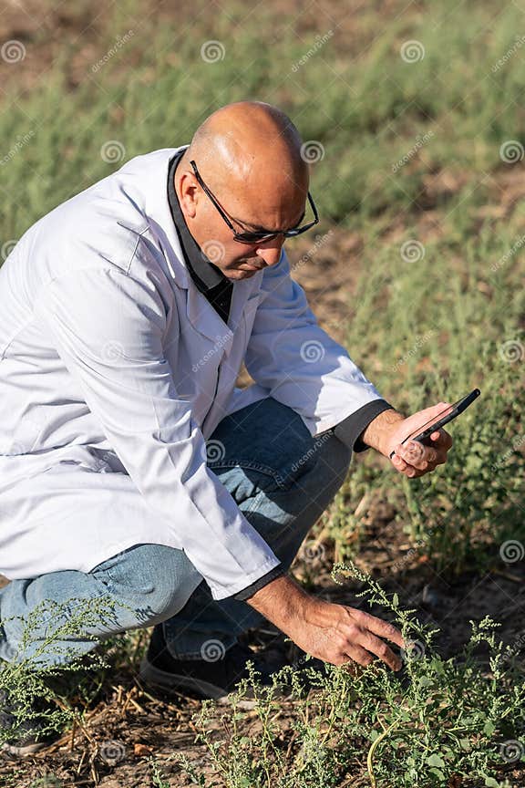 Agronomist at work editorial photography. Image of male - 126008187