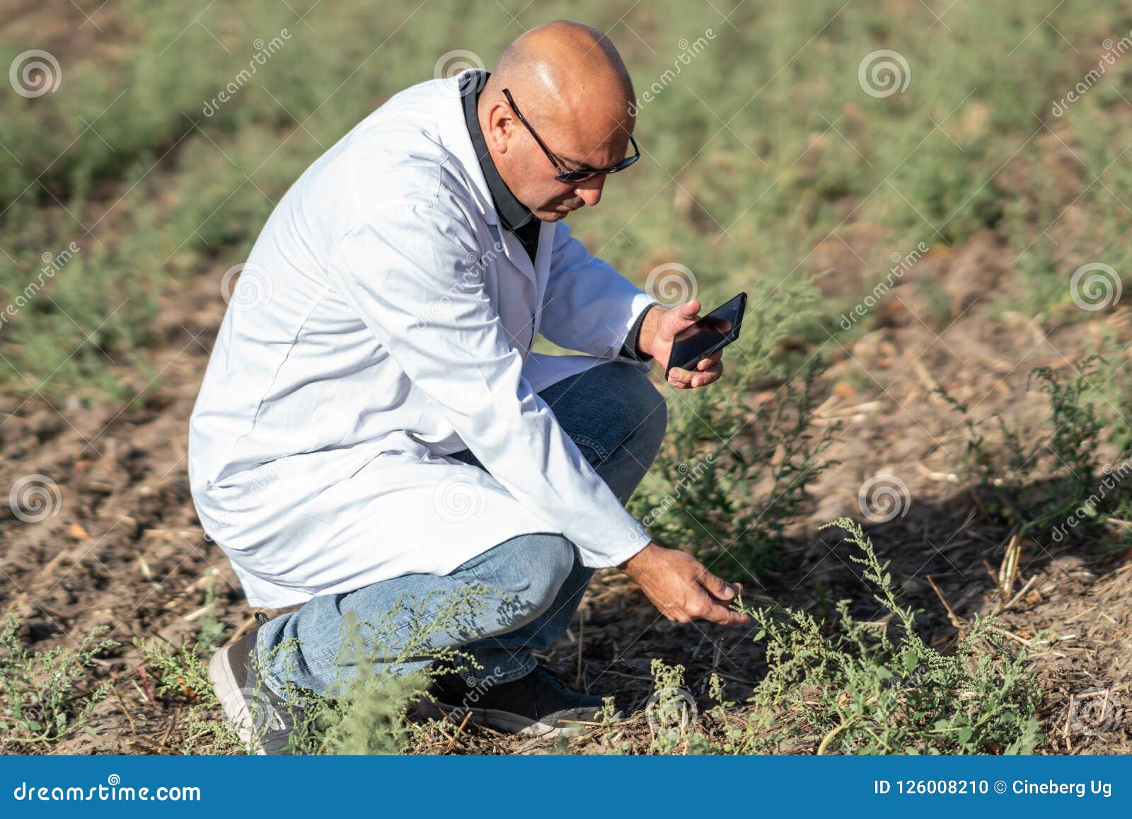 Agronomist at work editorial image. Image of environment - 126008210