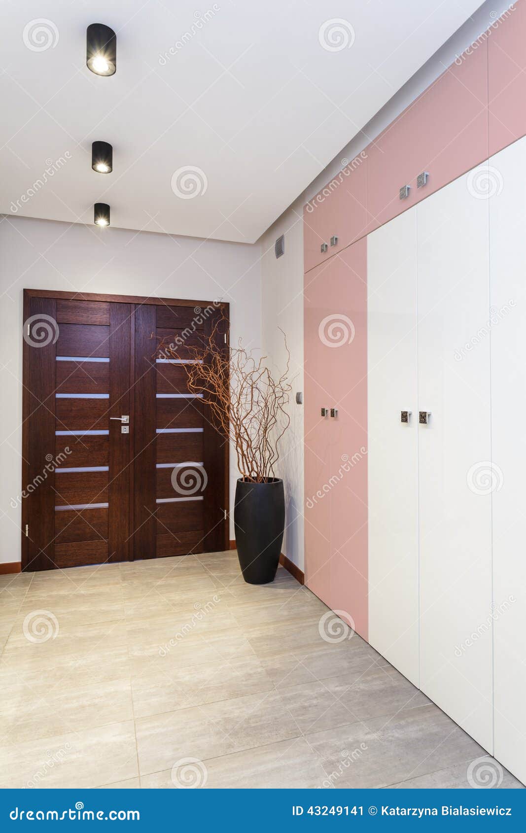 Modern Anteroom in New House Stock Image - Image of elegance, apartment ...