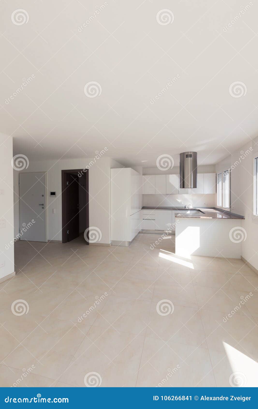 Modern Apartment, Empty Spaces, Kitchen Stock Image - Image of design ...