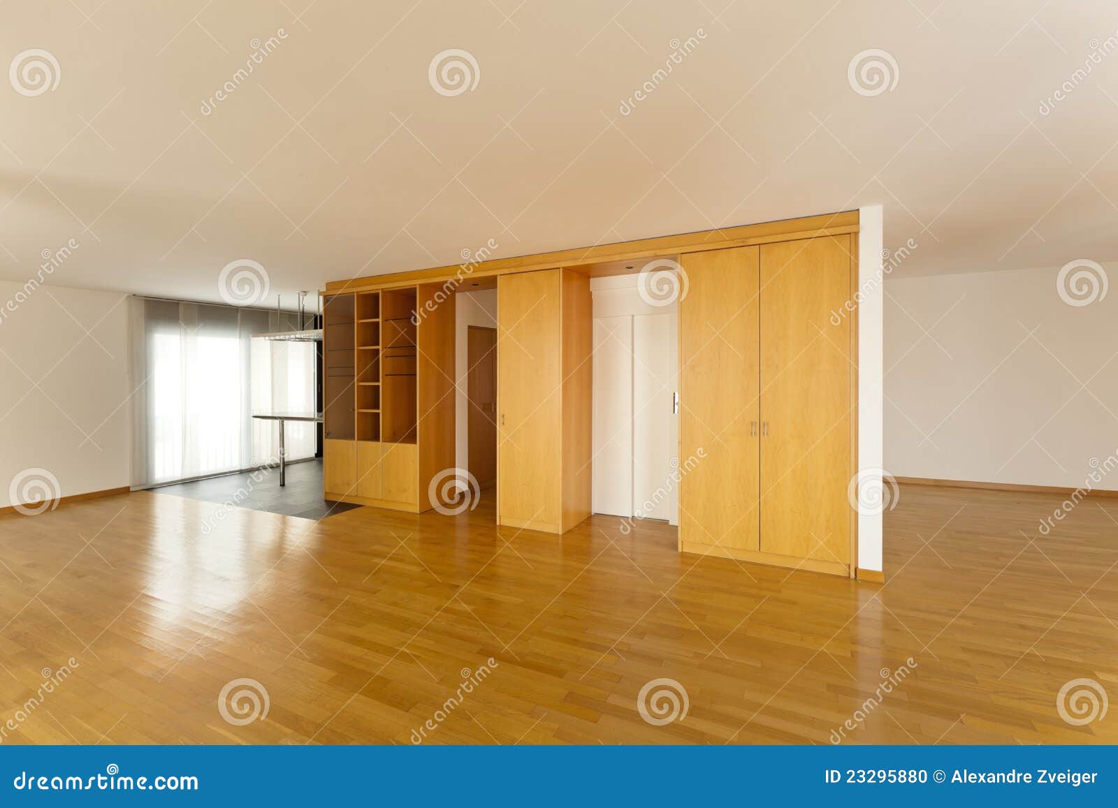 Modern apartment, hall stock photo. Image of apartment - 23295880
