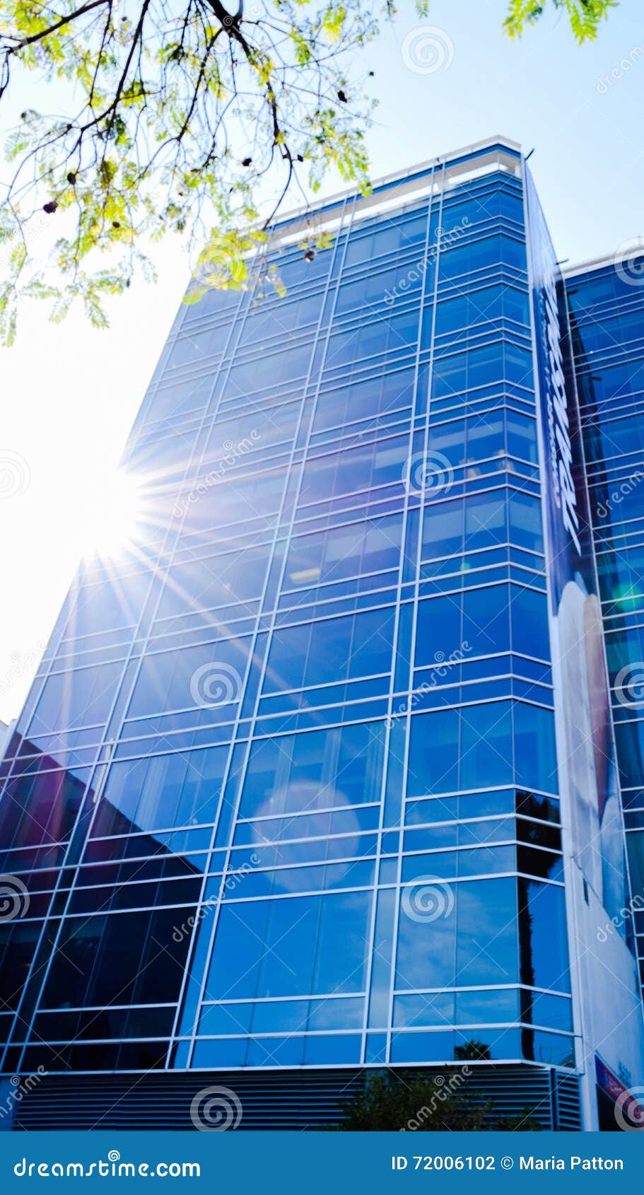 Tree Reflectlion Stock Photos - Free & Royalty-Free Stock Photos from ...