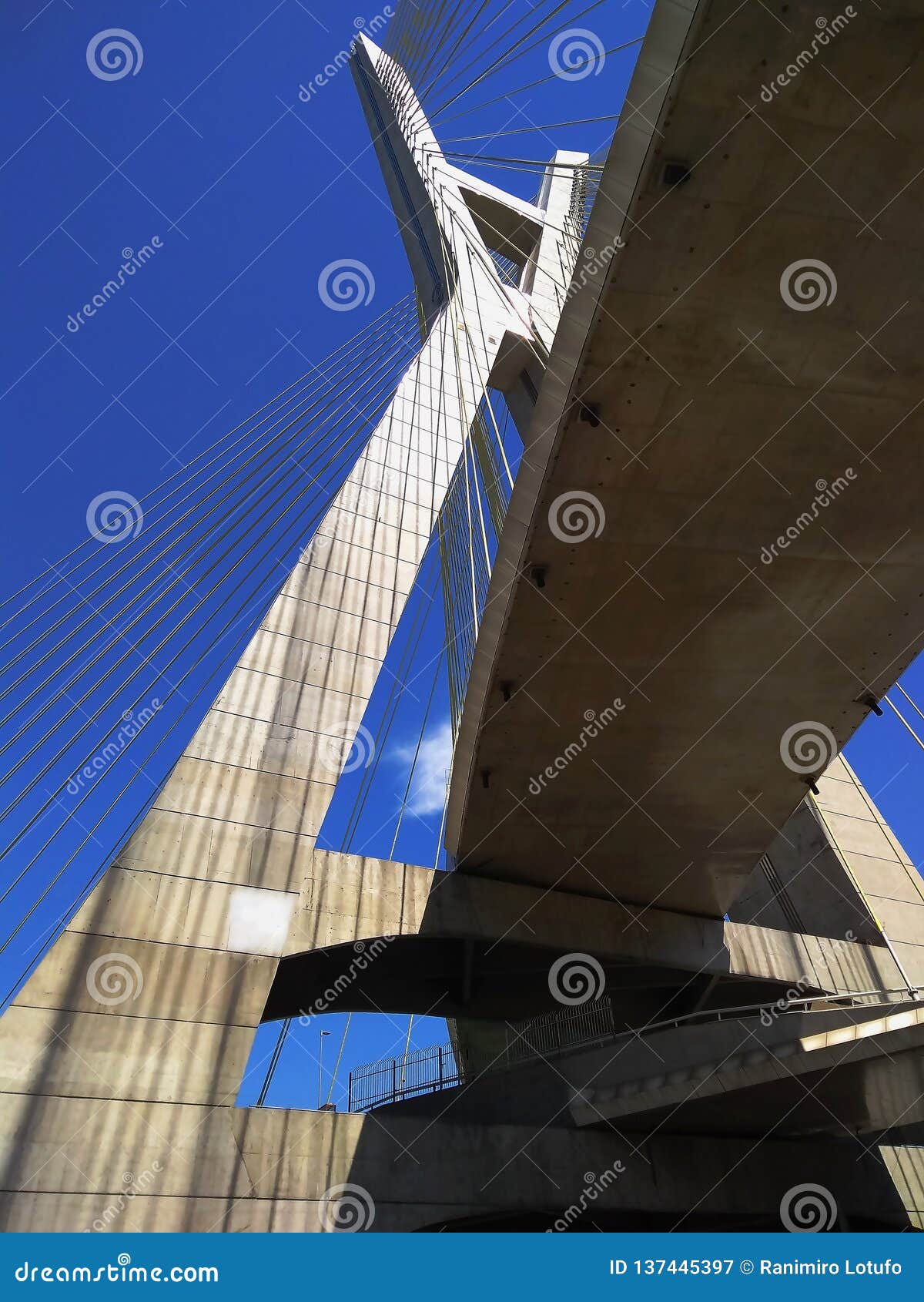 Modern Architecture. Modern Bridges. Cable-stayed Bridge in the World ...