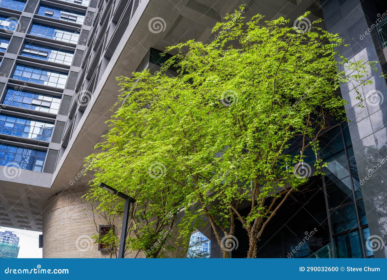 Modern Architecture Office Building and Green Trees Stock Photo - Image ...