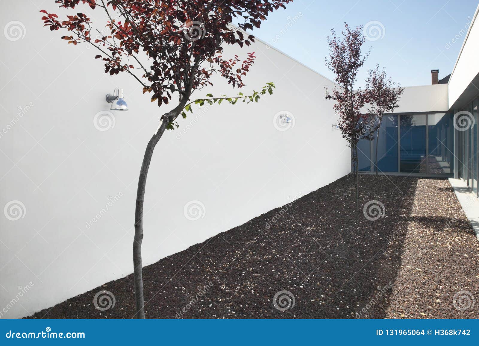 Modern Arquitecture Indoor Minimalist Style Garden with Trees Stock ...