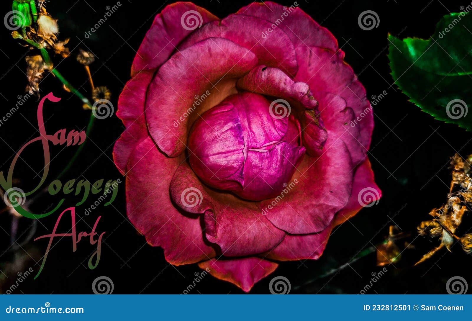 Modern Art Digital Art Wallpaper Dark Rose Trippy Stock Image - Image ...