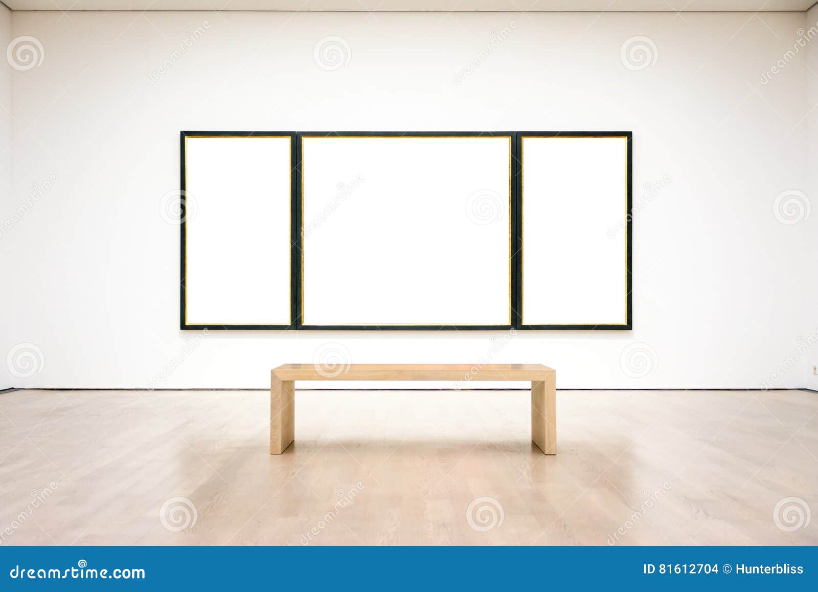 Modern Art Museum Frame Wall Clipping Path Isolated White Vector Stock ...