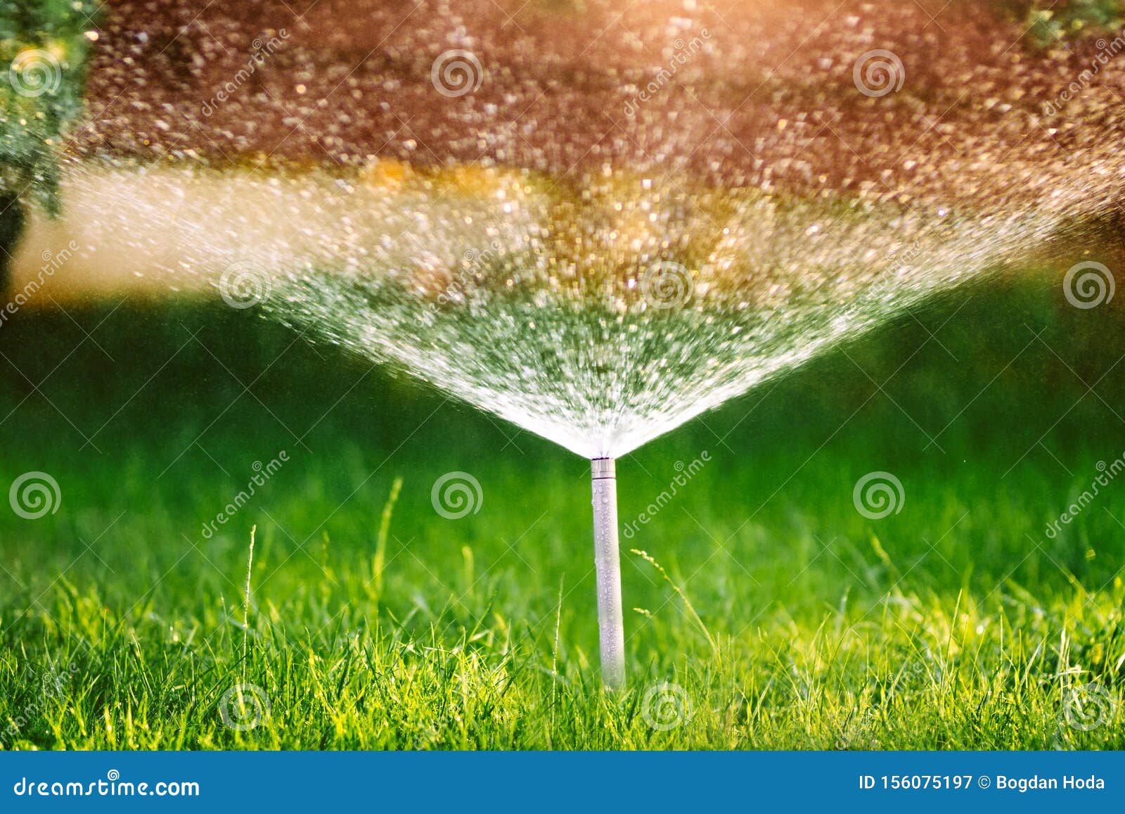 Modern Automatic Sprinkler Working on Grass Irrigation. Sprinkler ...