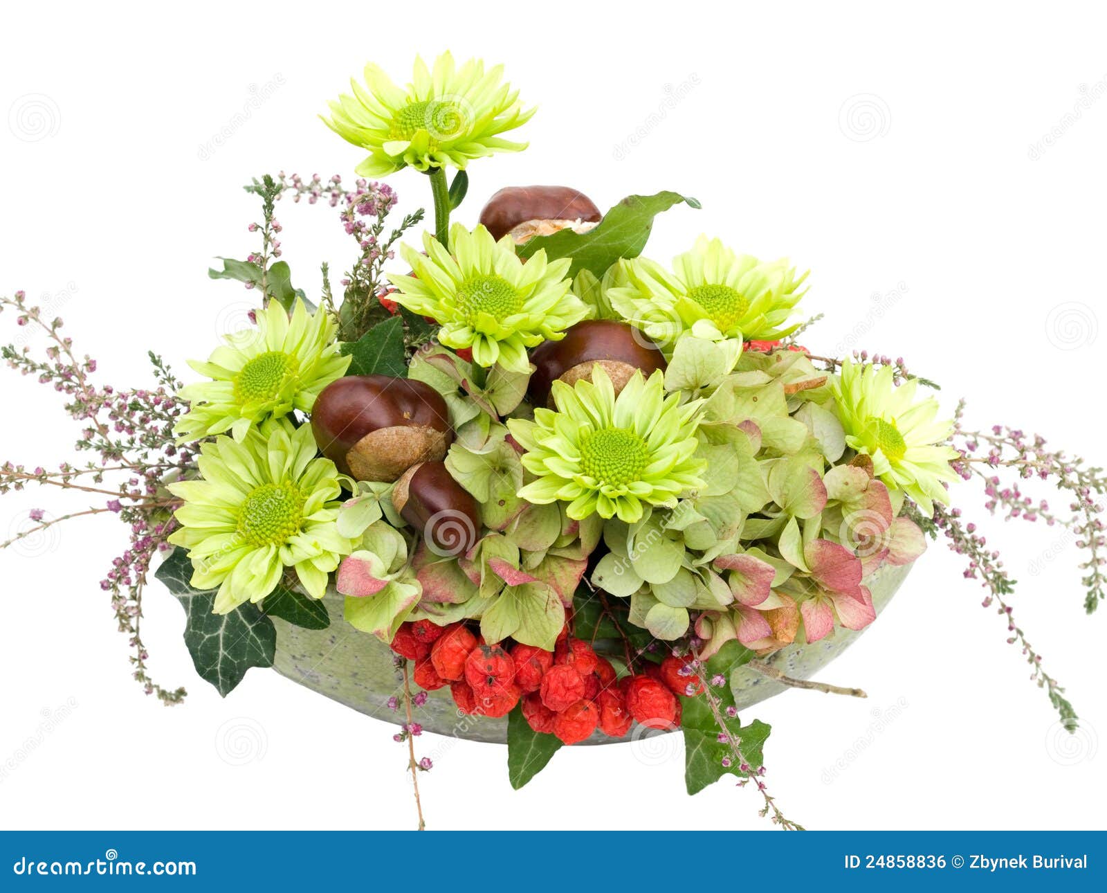Modern Autumnal Flower Arrangement on White Stock Photo - Image of ...