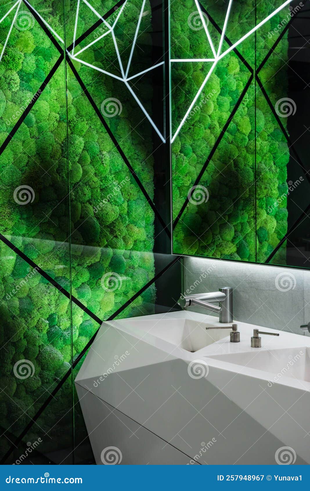 Modern Bathroom Design Stock Image Image Of Plant Plumbing 257948967