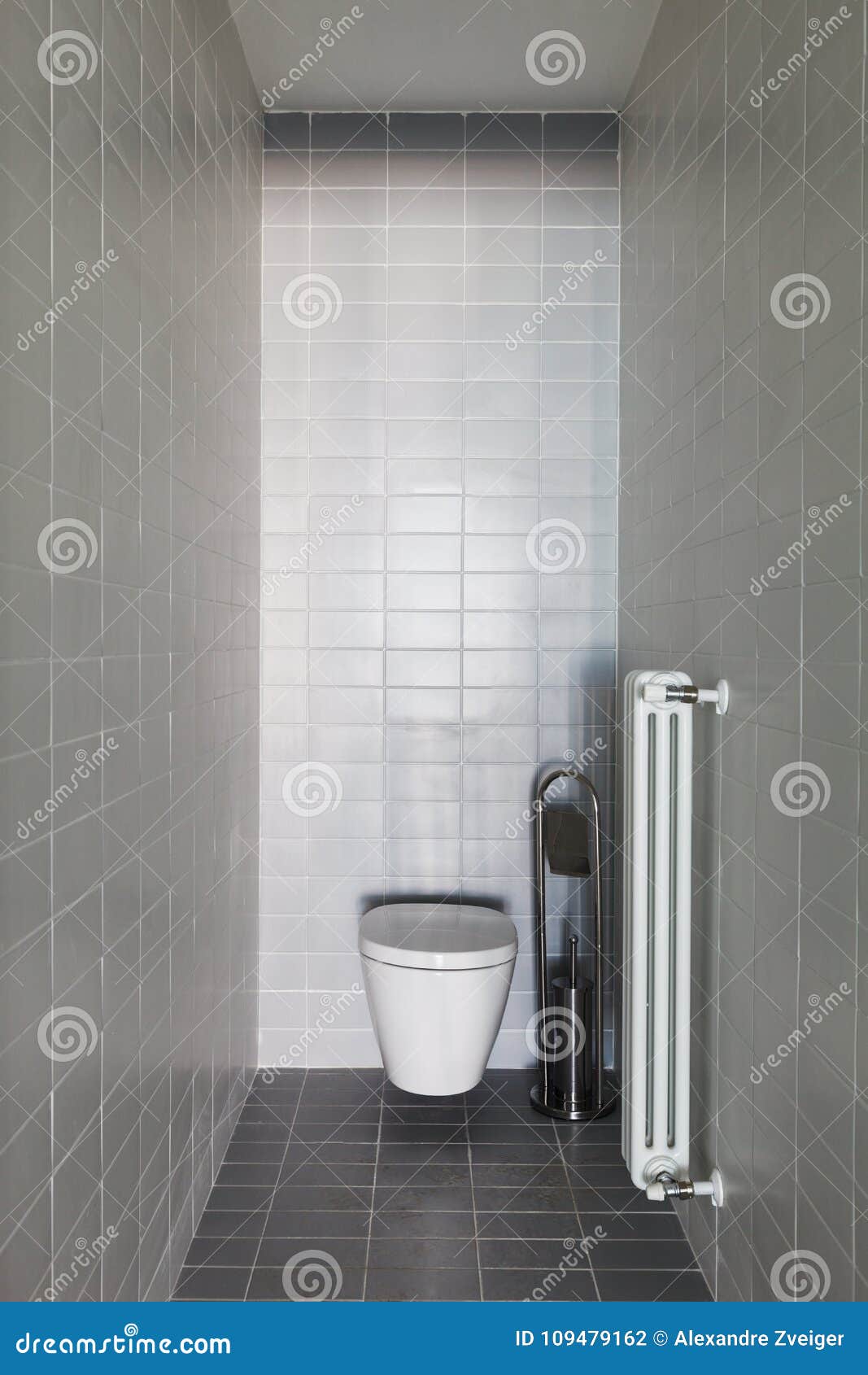Interior Wc. Front View. Tile Stock Photo - Image of indoor, modern ...