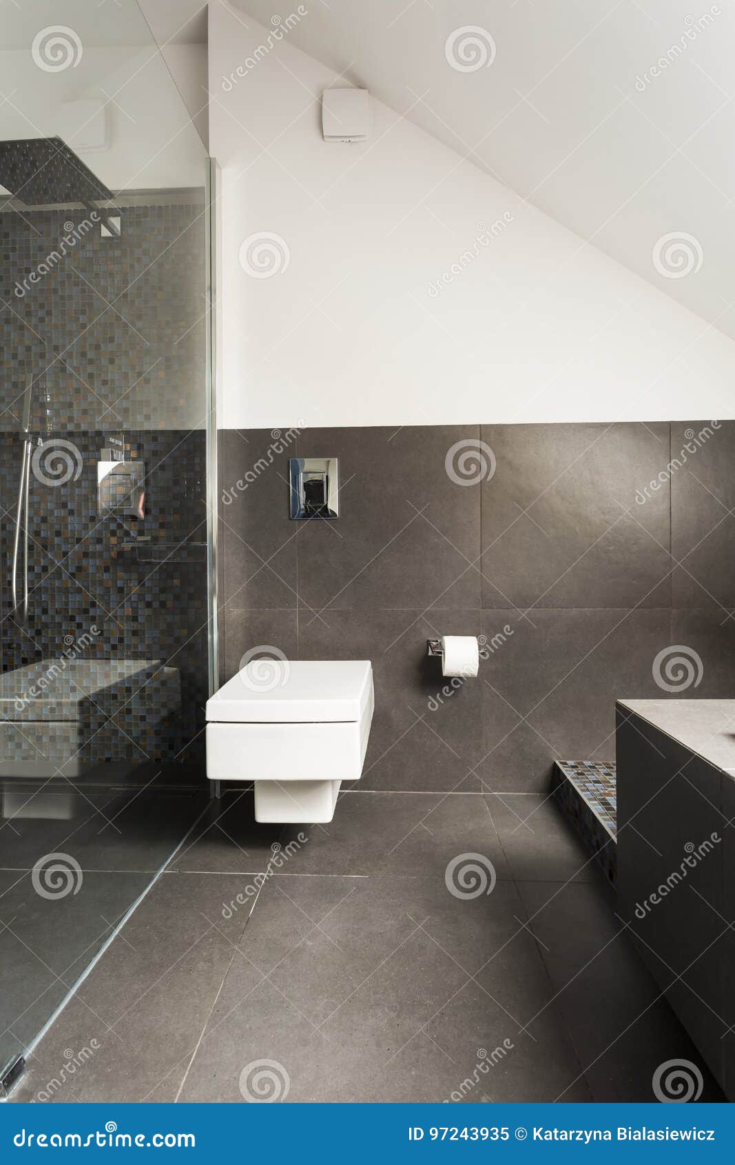 Modern Bathroom with Transparent Shower Stock Image - Image of white ...