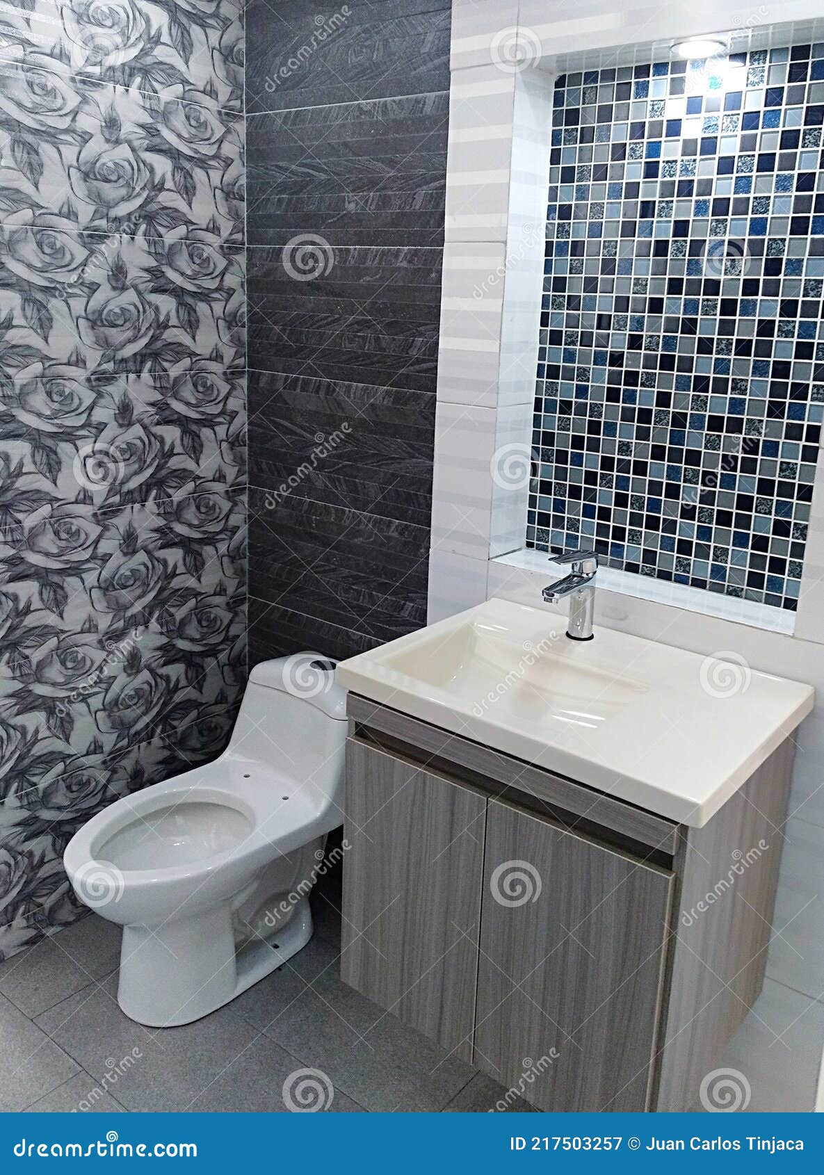 Modern bathroom with WC stock image. Image of interior - 217503257