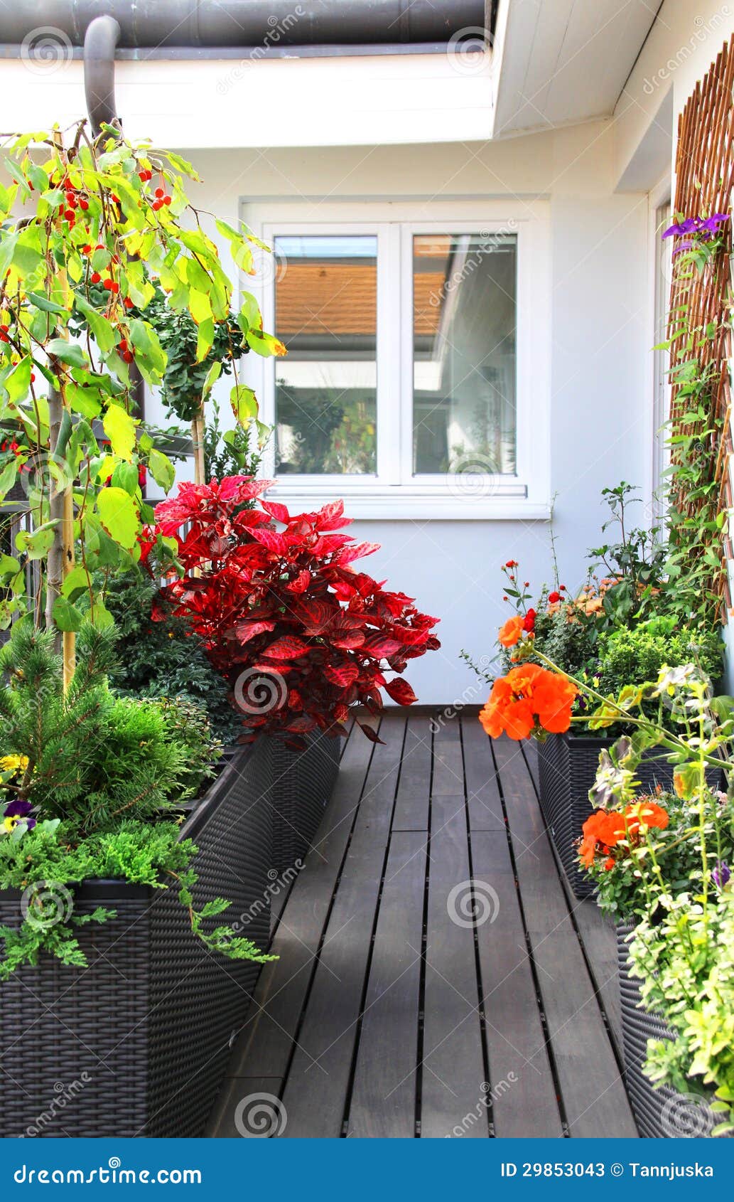 Modern Beautiful Terrace with a Lot of Flowers Stock Image - Image of ...