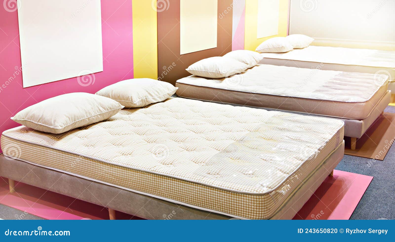 Modern Bed with Mattresses and Pillows in Store Stock Photo - Image of ...
