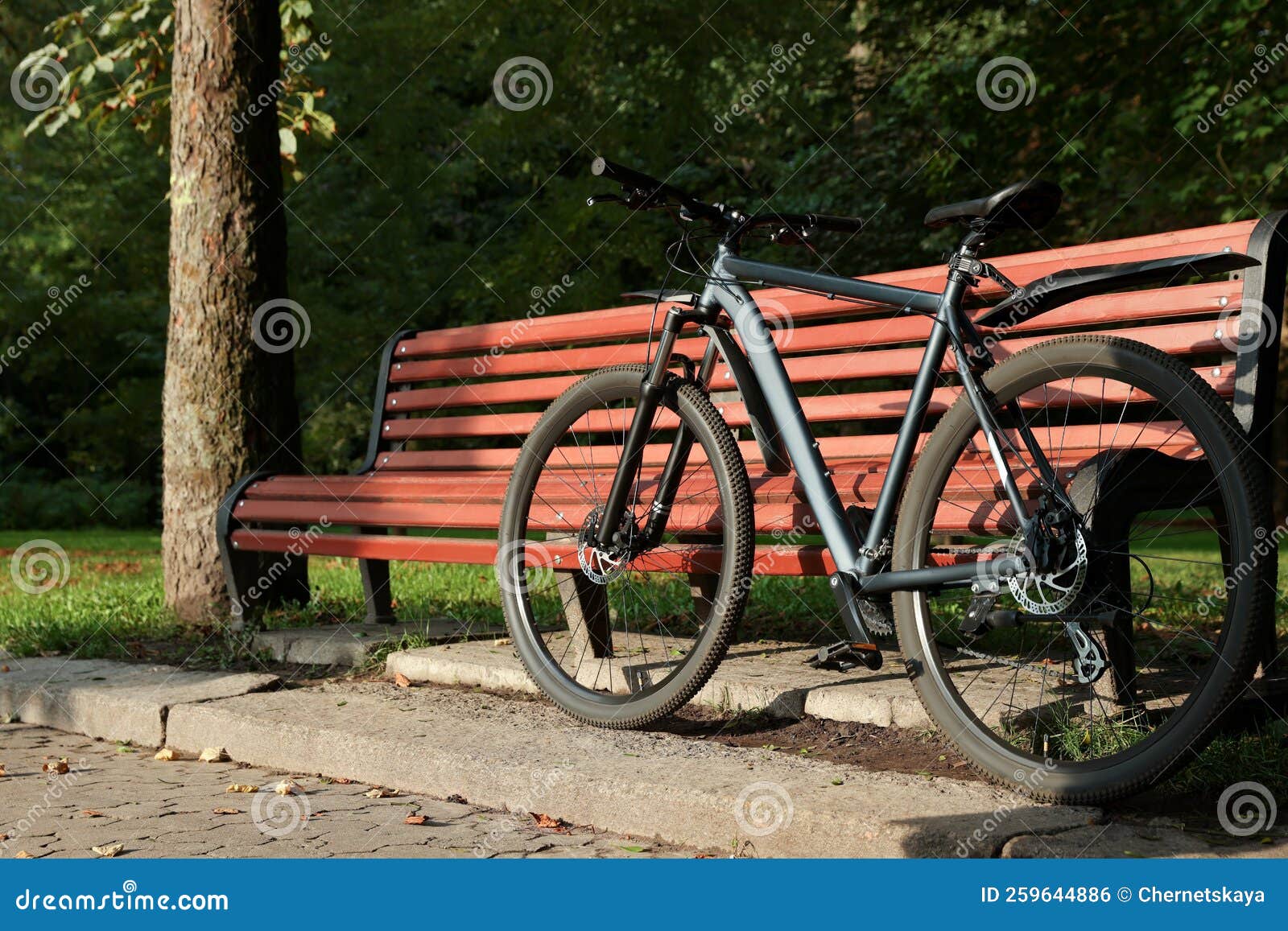 Modern Bicycle Near Wooden Bench Outdoors, Space for Text Stock Photo ...