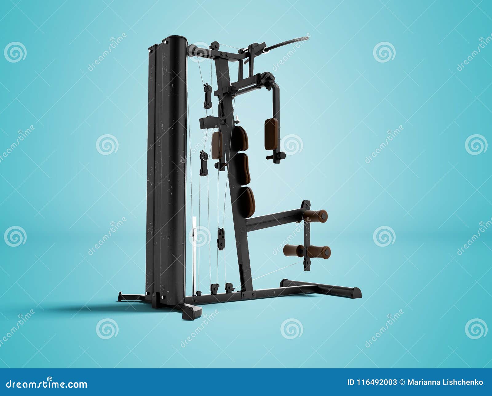 Modern Black Multifunctional Power Trainer with Brown Inserts at Stock ...