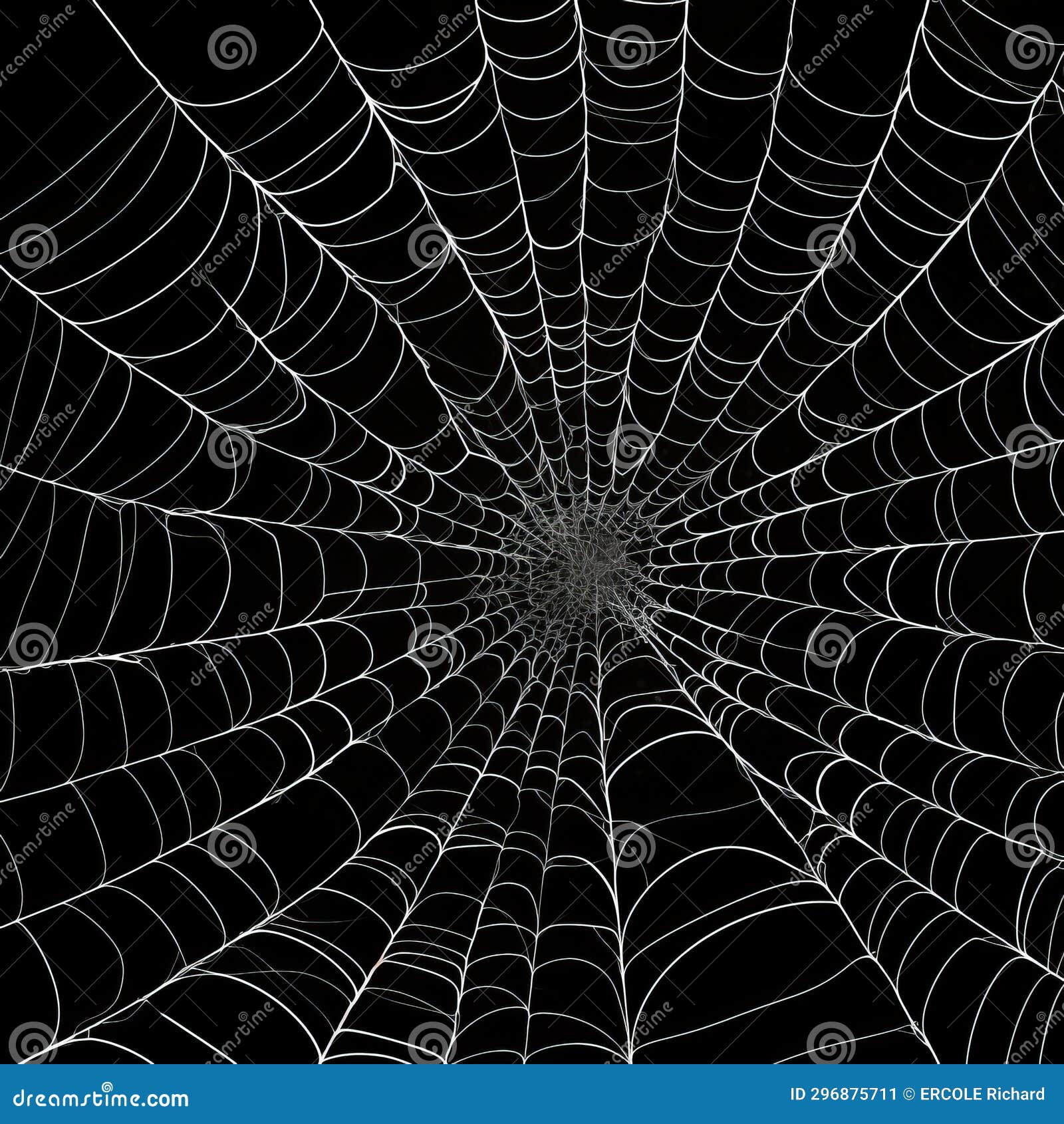 Modern Black Spider Web Pattern: Unique Design for Your Space Stock ...