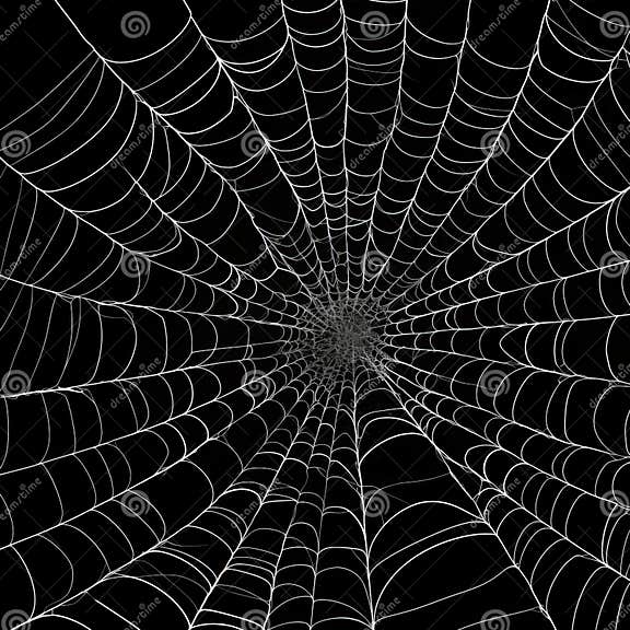 Modern Black Spider Web Pattern: Unique Design for Your Space Stock ...