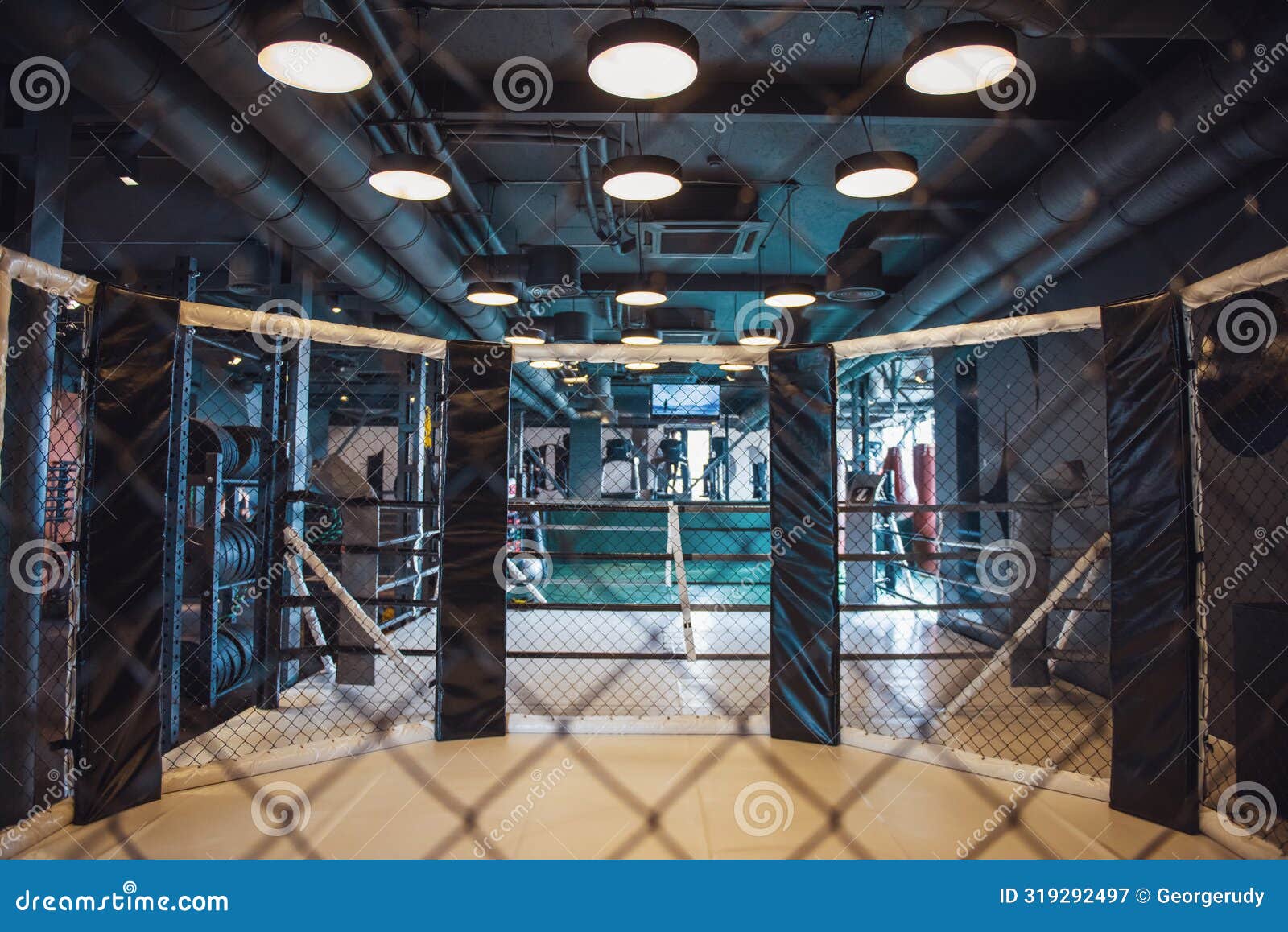 Modern boxing ring stock image. Image of physical, exercise - 319292497