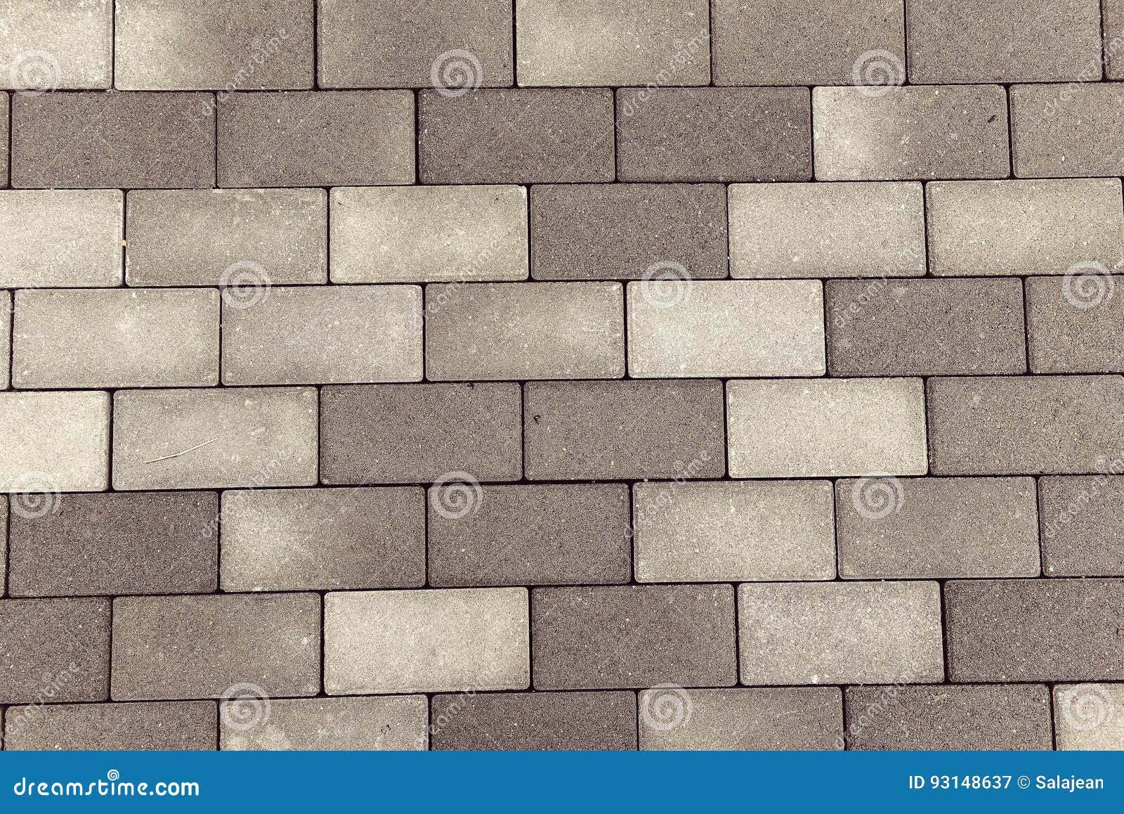 Pedestrian Pavement Of Stone Tiles In Park With Landscaping And Green ...
