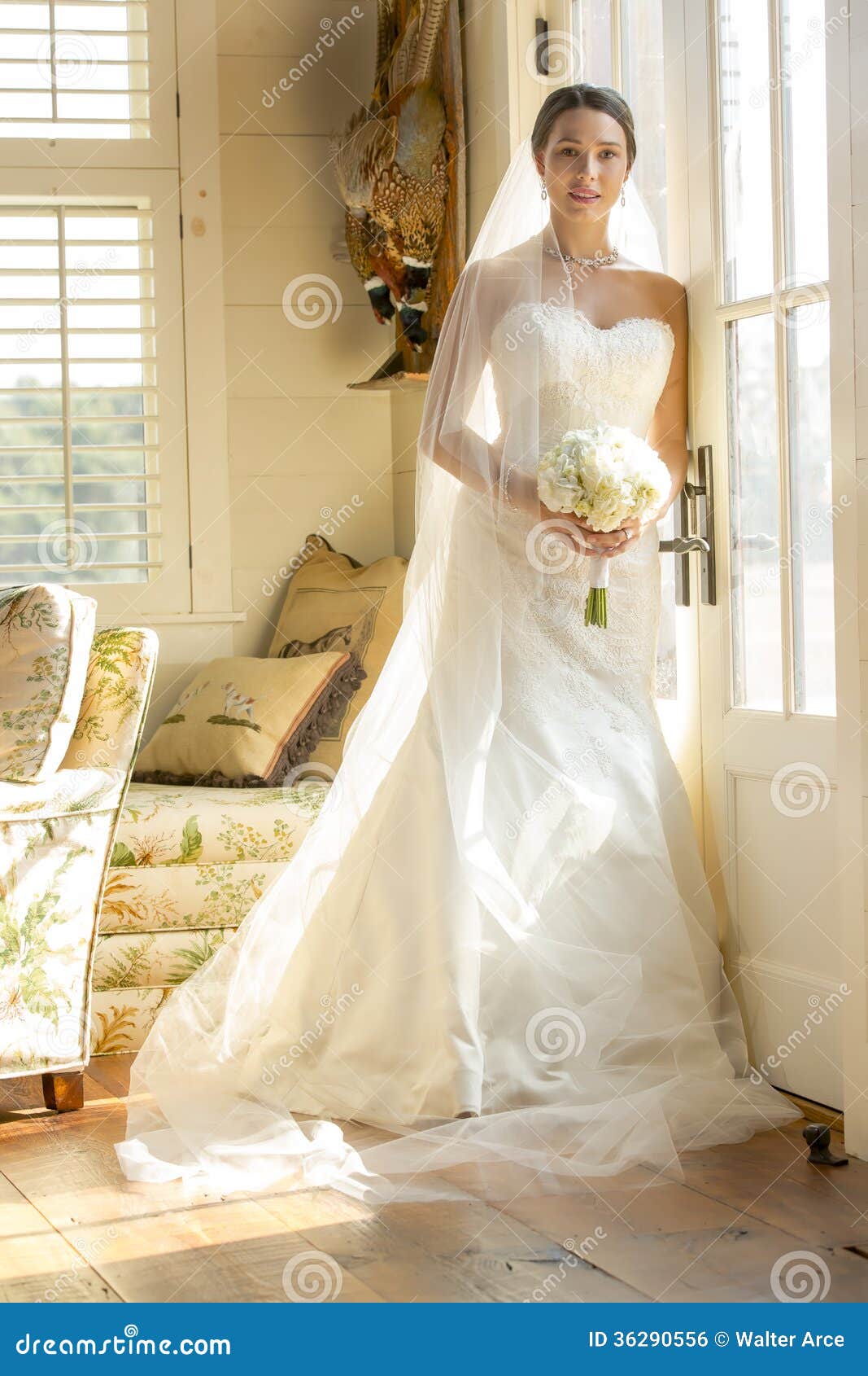 Modern Bride stock photo. Image of elegance, background - 36290556