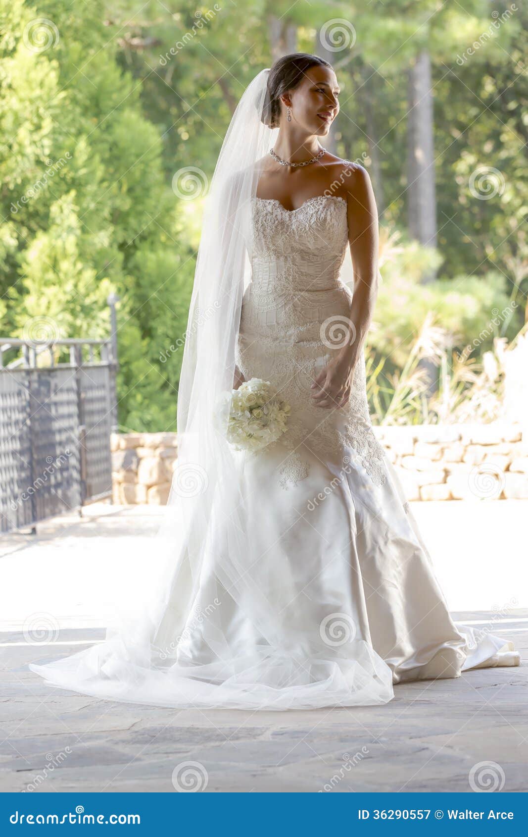 Modern Bride stock image. Image of elegance, adult, face - 36290557