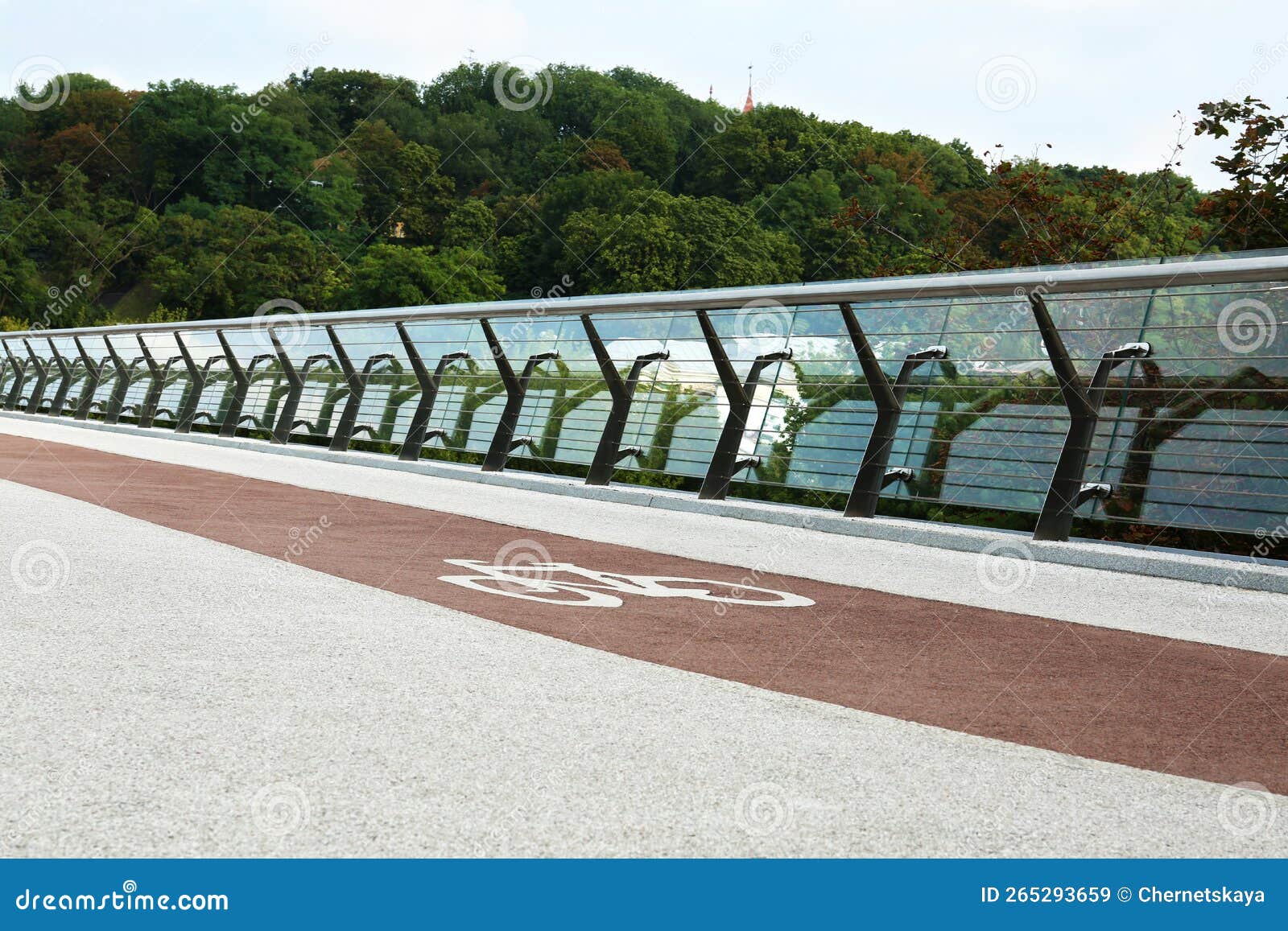 Modern Bridge with Bike Lane Over River Stock Image - Image of exterior ...