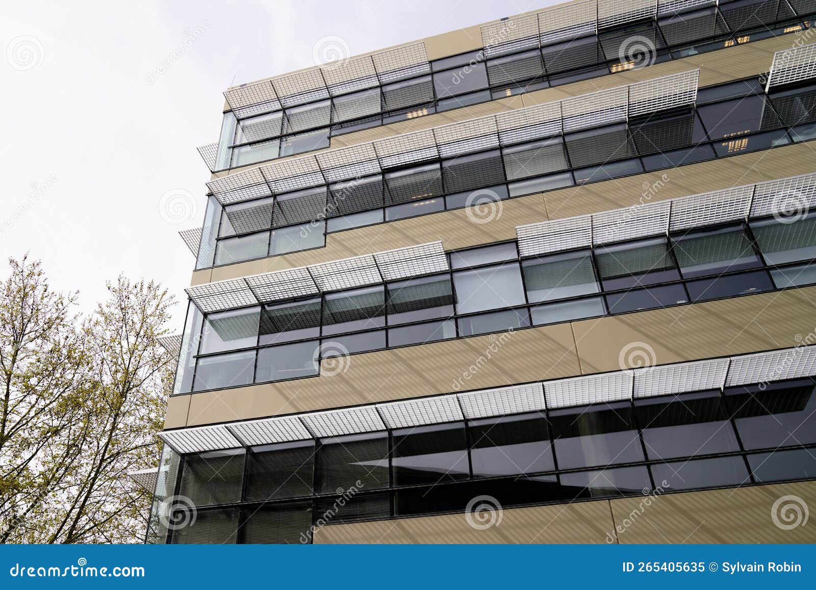 Modern Brown Building with Balcony Windows Frame and Terrace Exterior ...