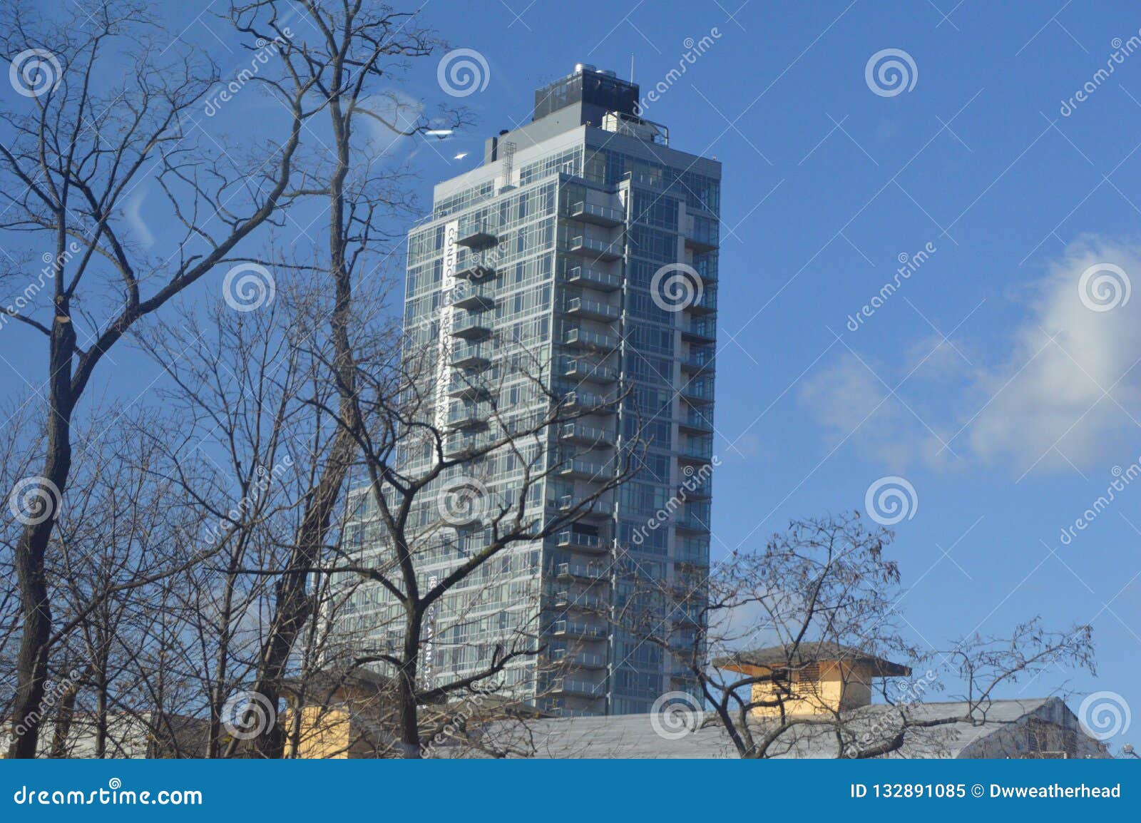 Modern Building with Bare Trees Located in Foreground Editorial Image ...