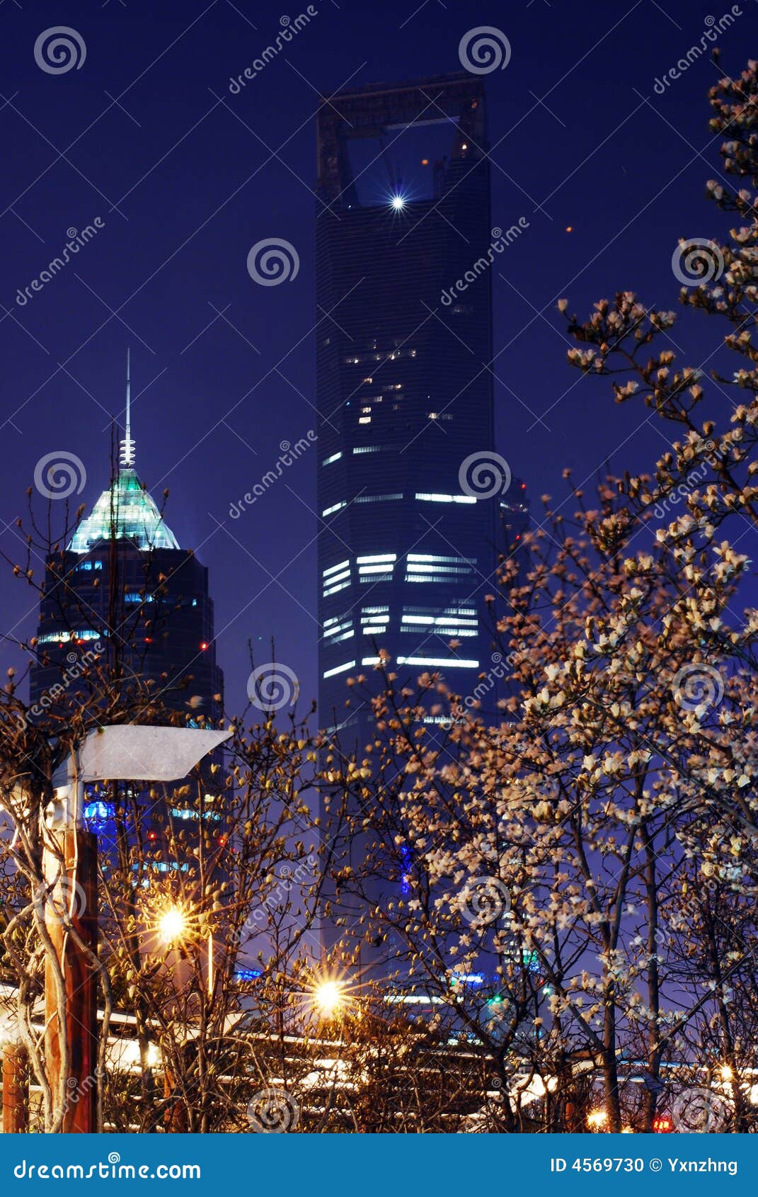 Modern Building with Flower at Night Stock Photo - Image of huanqiu ...