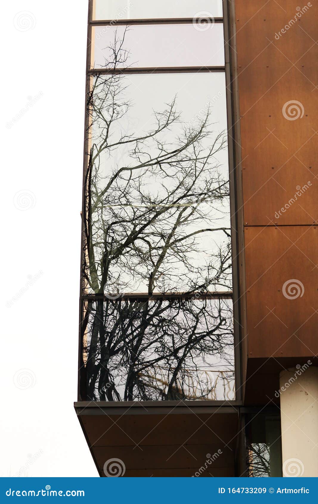 Modern Building Glass Window with Tree Branches Reflection Stock Image ...