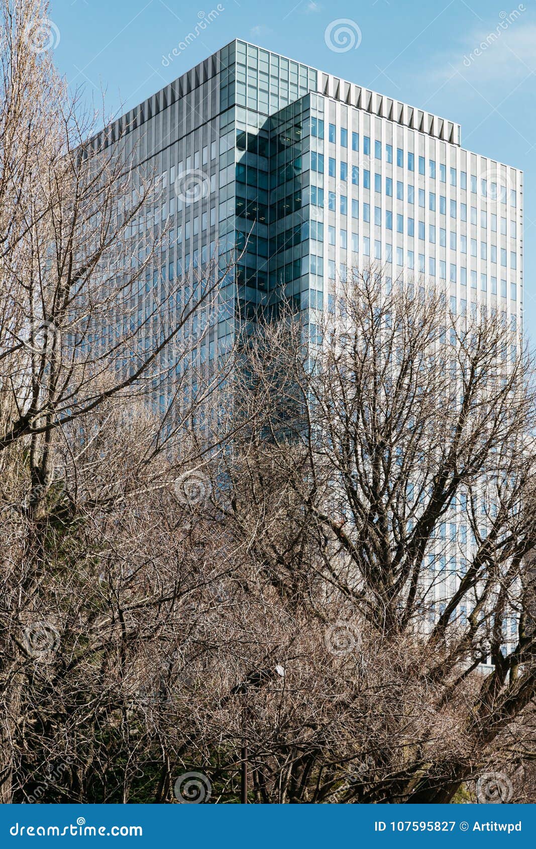 Modern Building Has Rectangle and Square Windows Form with Clear Blue ...