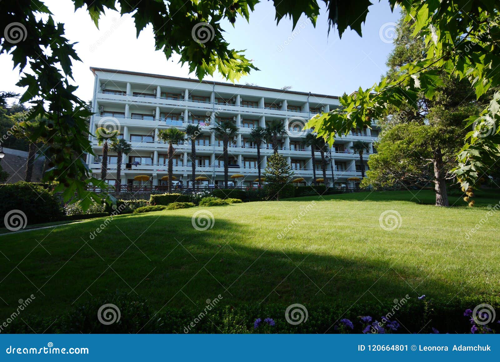 A Modern Building of a Sanatorium Complex in the Shadow of Tall Palms ...