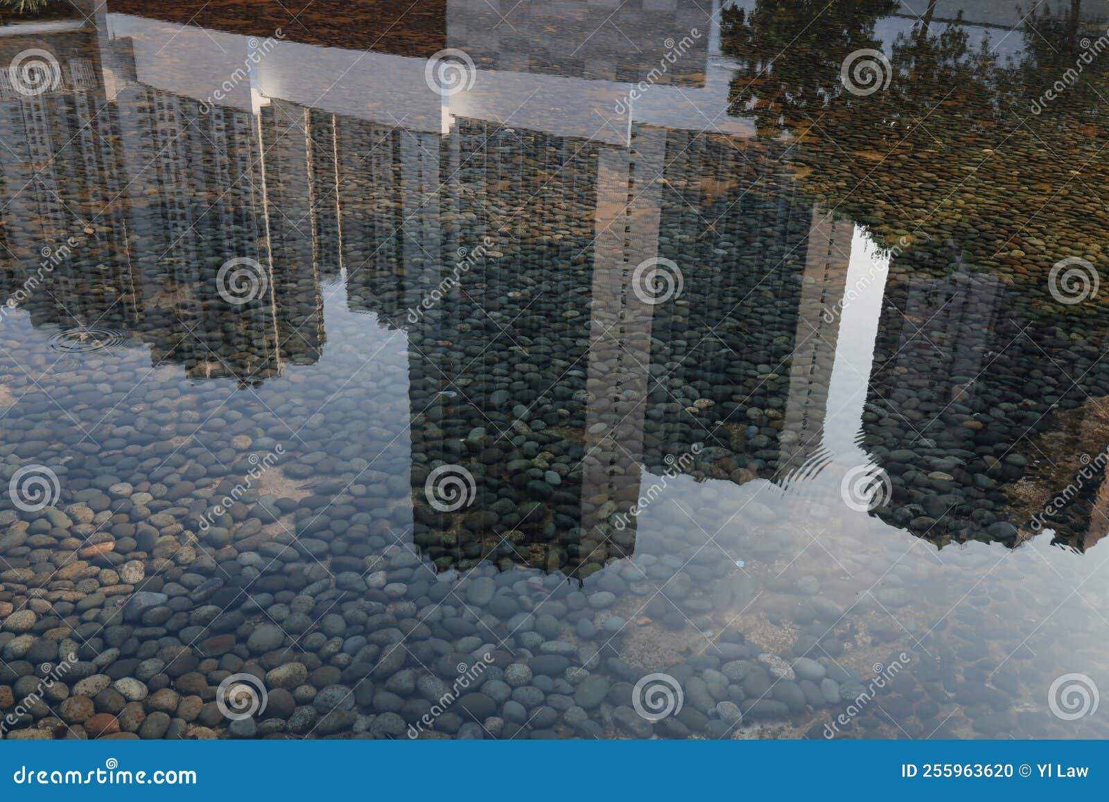 Modern Building Skyscraper Reflected in the Water Stock Photo - Image ...