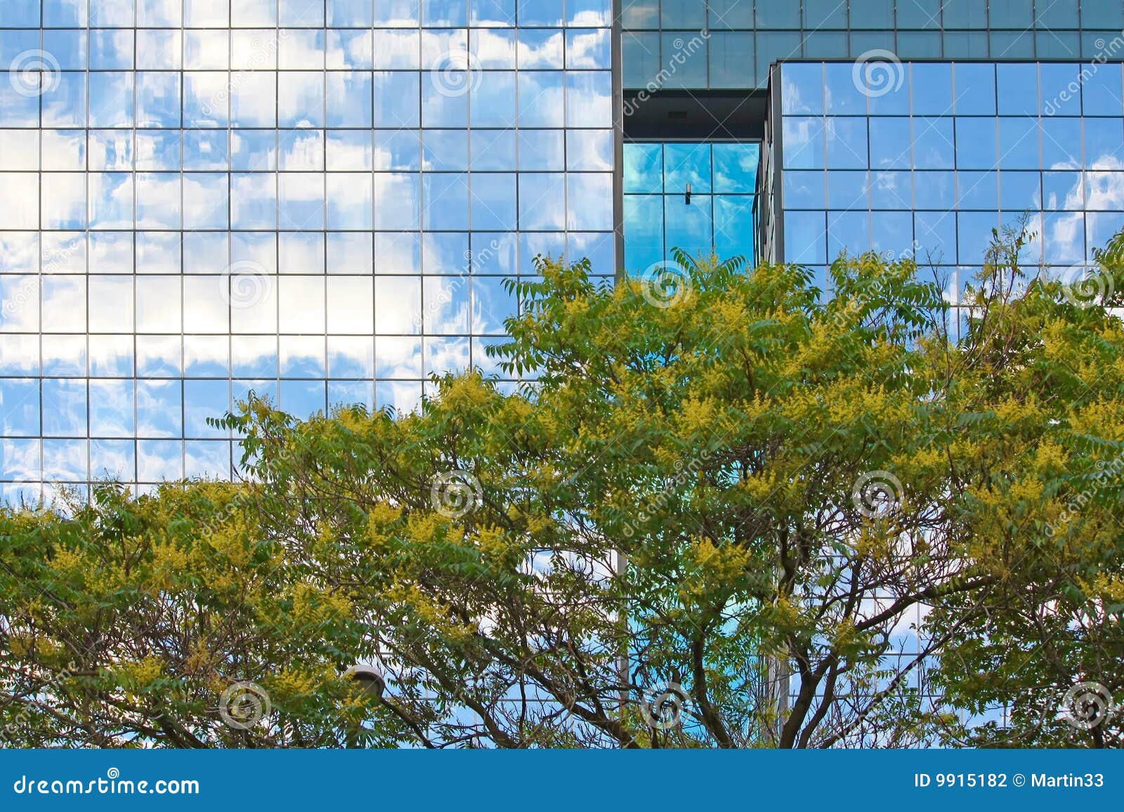 Modern building and tree stock photo. Image of green, wall - 9915182