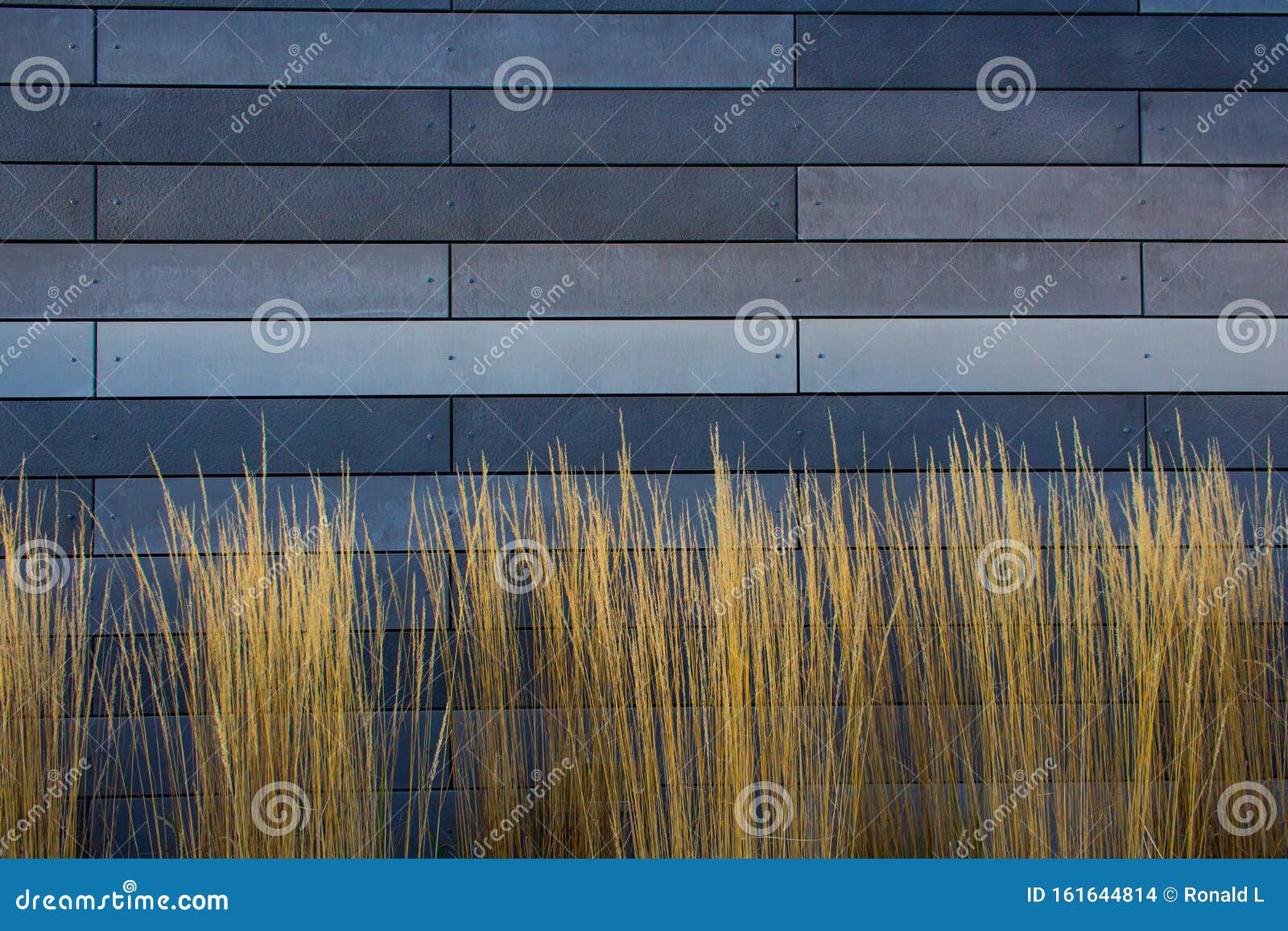 Modern Building Wood Cladding Texture Background Stock Photo - Image of ...