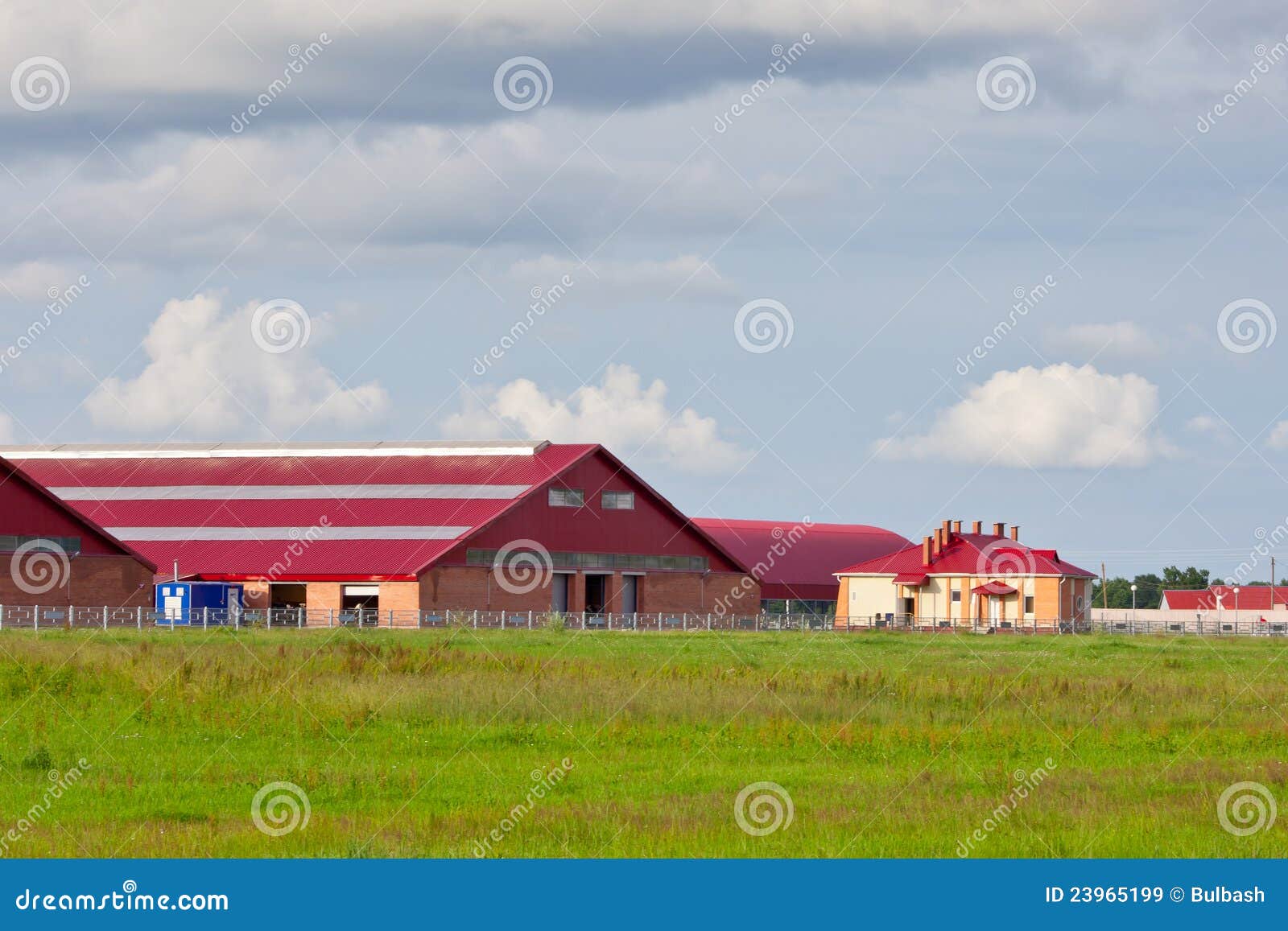 Modern Buildings Cattle Farm Stock Image - Image of poultry, green ...
