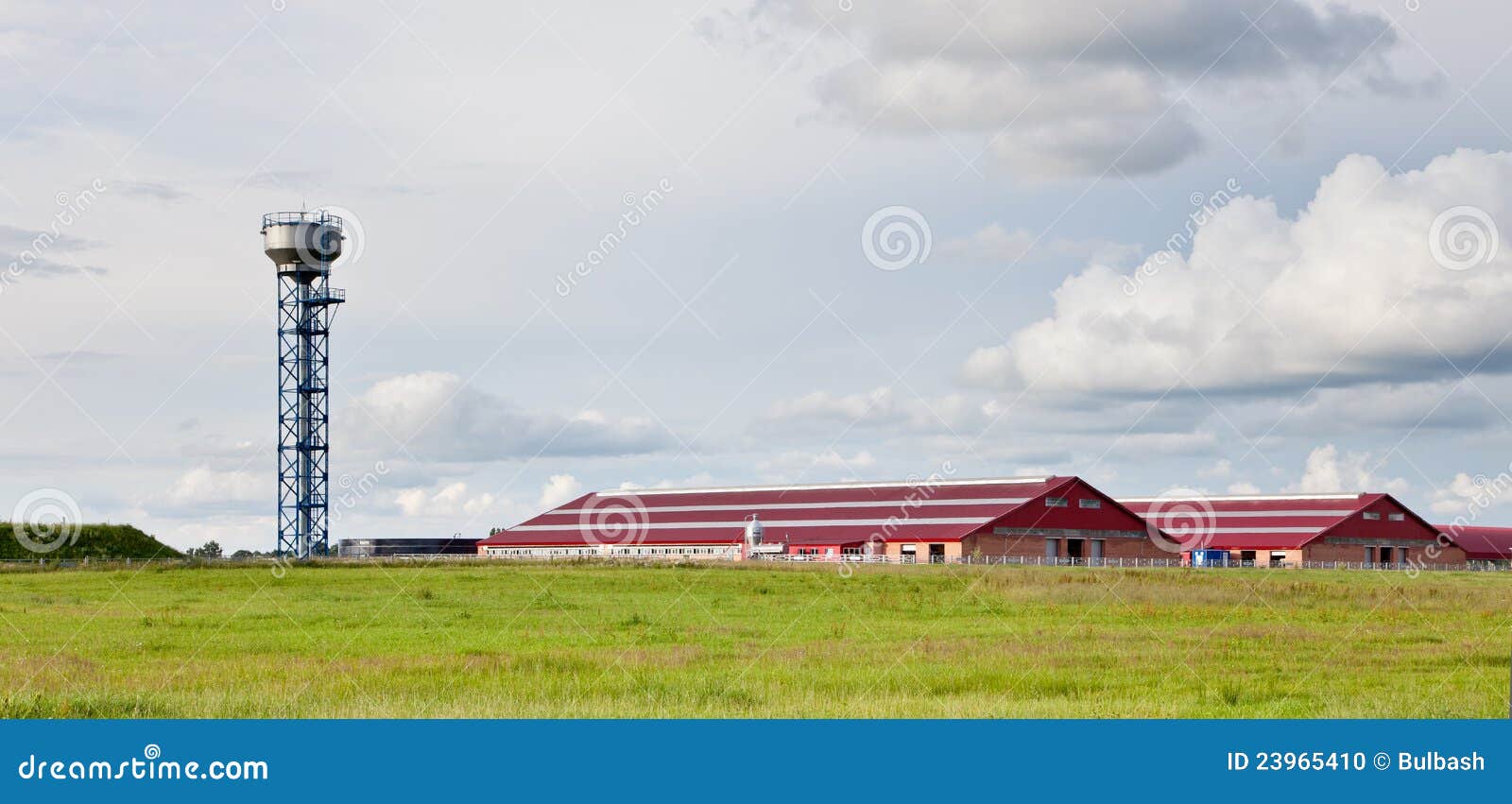 Modern Buildings Cattle Farm Stock Photo - Image of agriculture ...