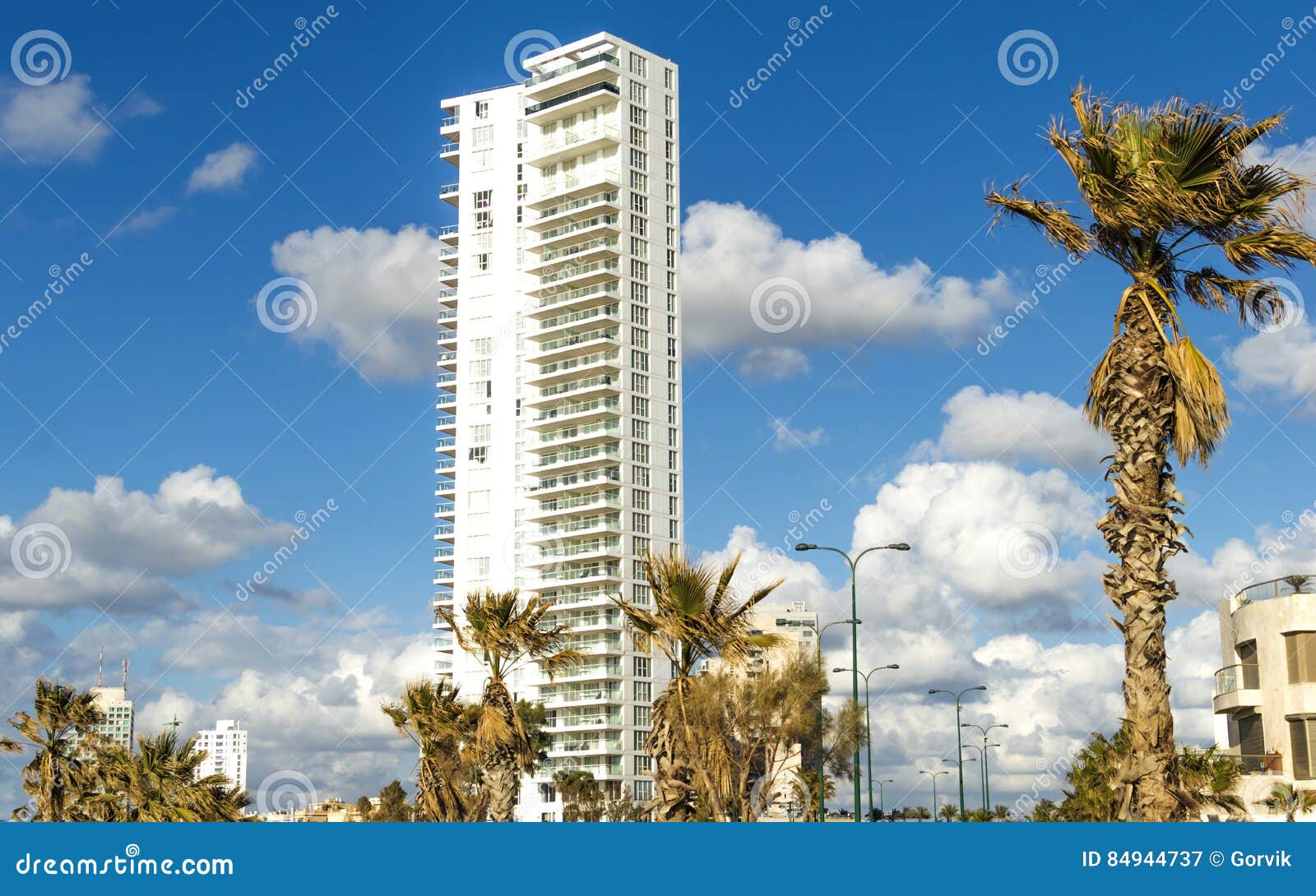 Modern Buildings with Palm Trees Stock Image - Image of windows ...