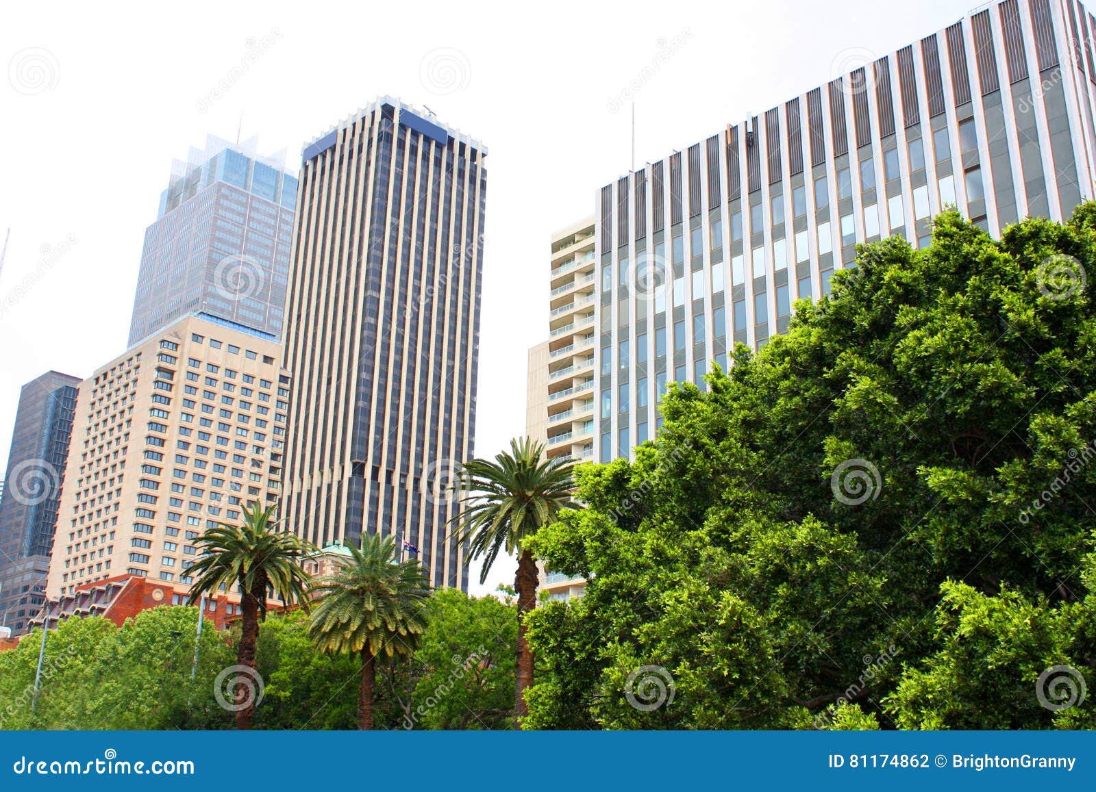 Modern buildings and trees stock photo. Image of forefront - 81174862