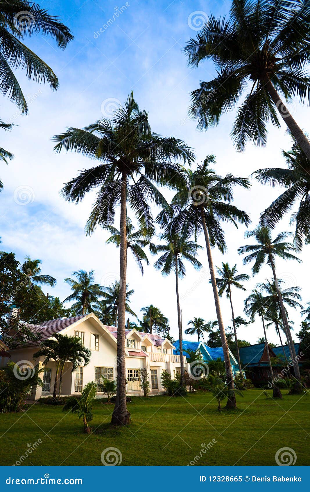 Modern bungalows and palms stock image. Image of deep - 12328665