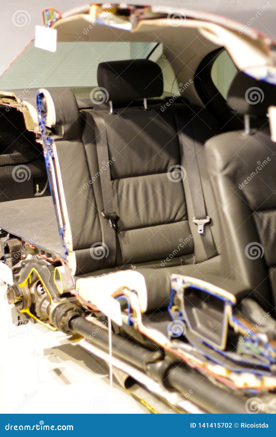 Modern Car. Cut in Half stock photo. Image of clean - 141415702