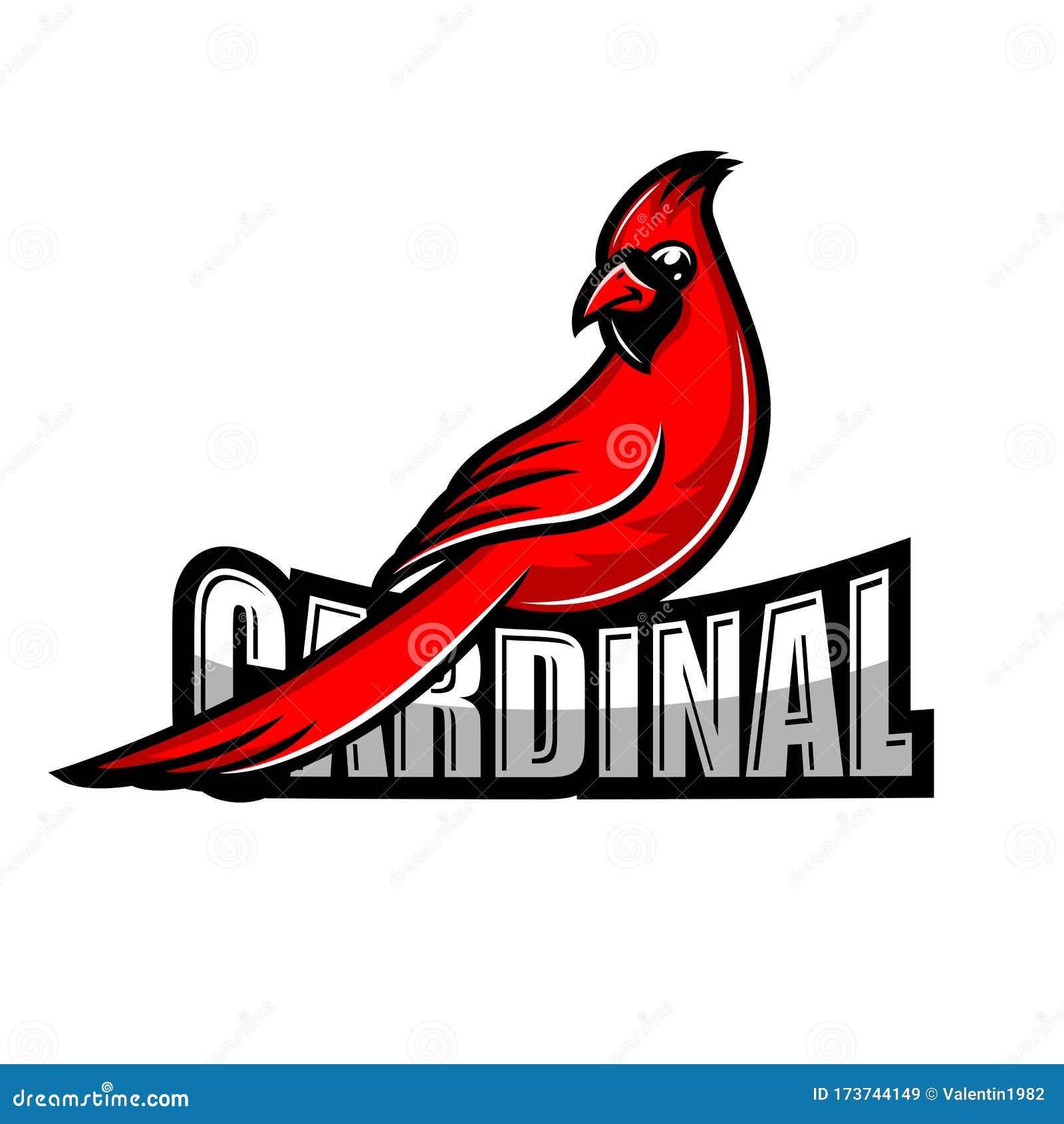Modern cardinal bird logo. stock vector. Illustration of cartoon ...