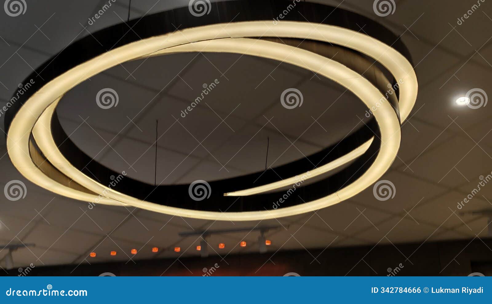 Modern Circular Ceiling Light Fixture with Elegant Curved Design in ...