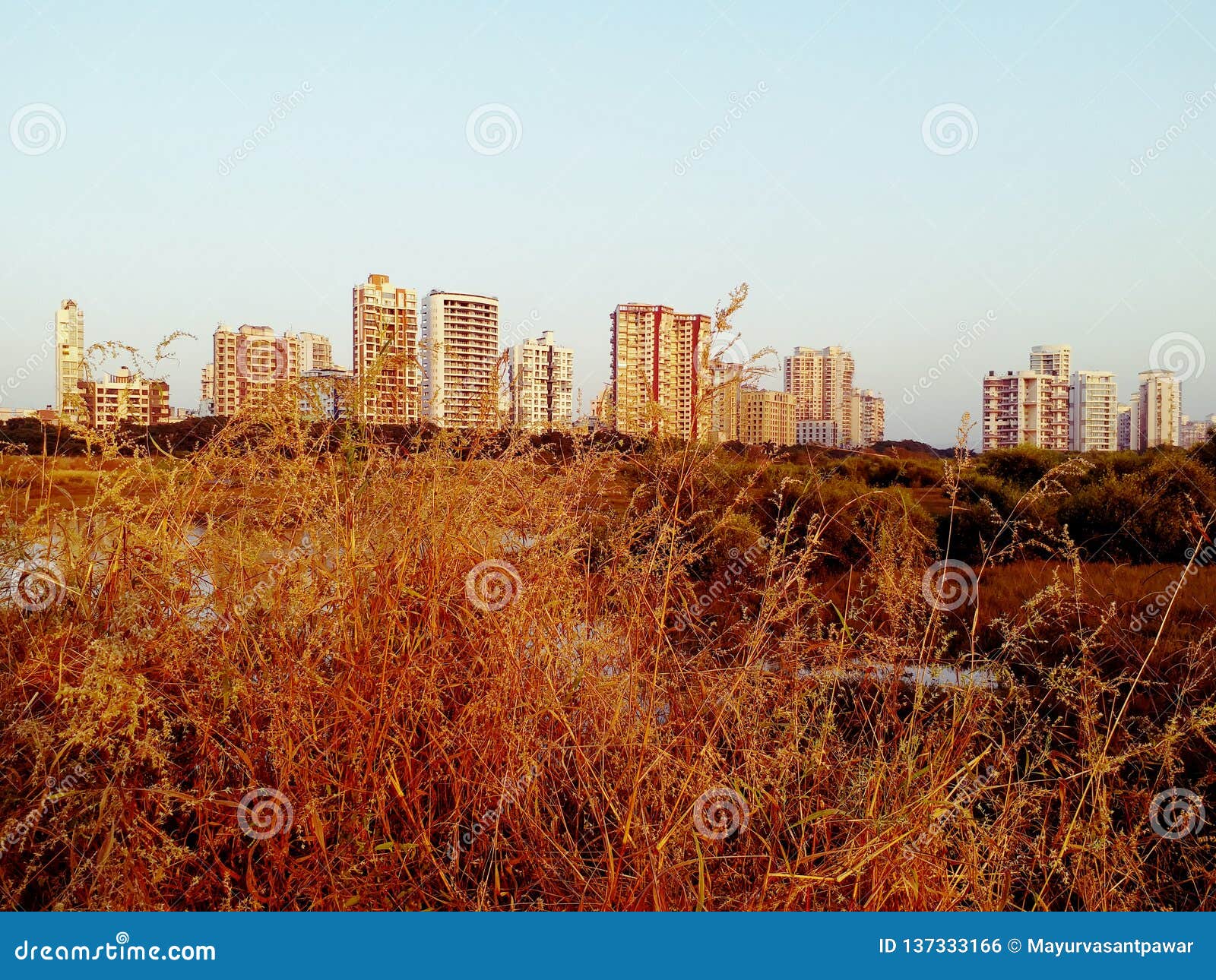Modern city scape view stock photo. Image of district - 137333166