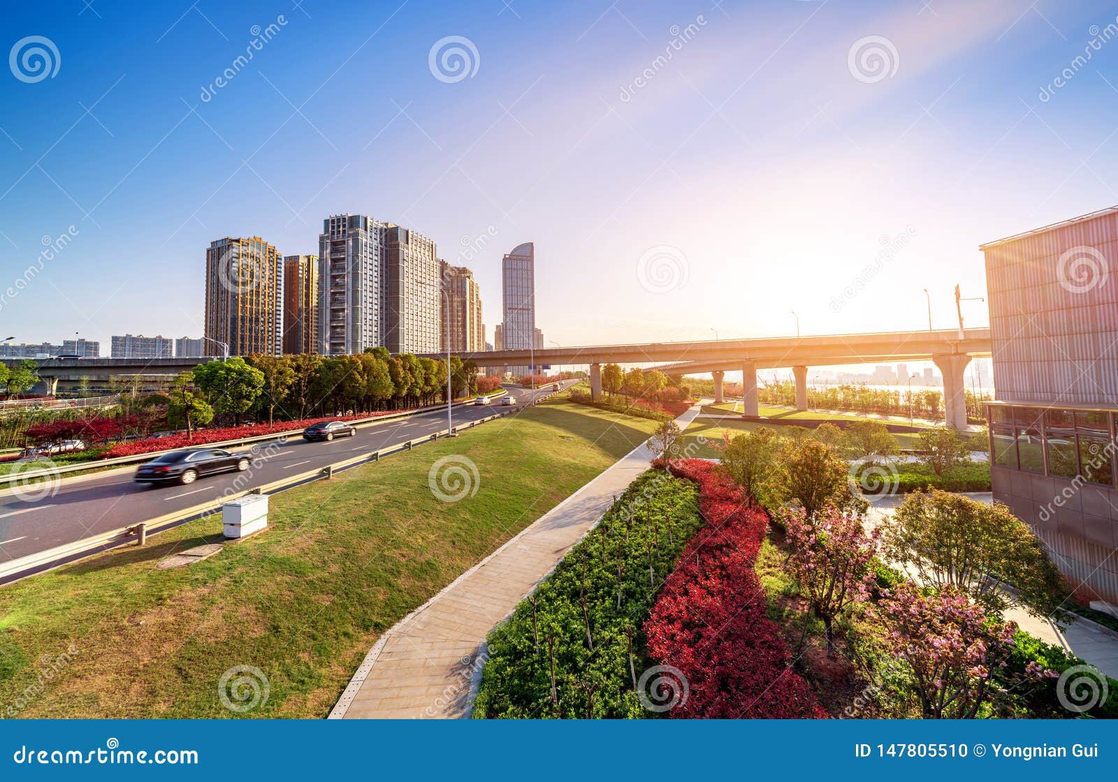 Modern city viaduct stock photo. Image of rush, landmark - 147805510