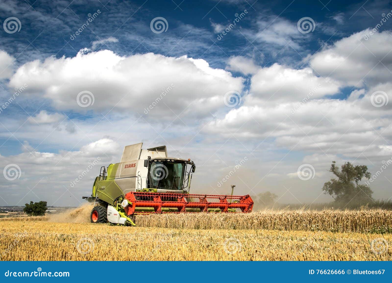 Modern Claas Combine Harvester Cutting Crops Editorial Photo - Image of ...