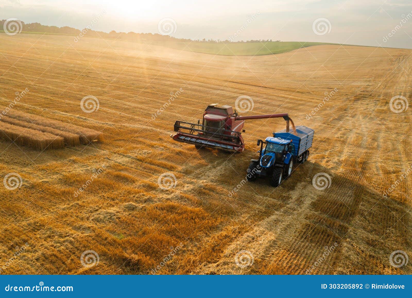 Modern Combine Harvester Efficiently Loading a Tractor Trailer Stock ...