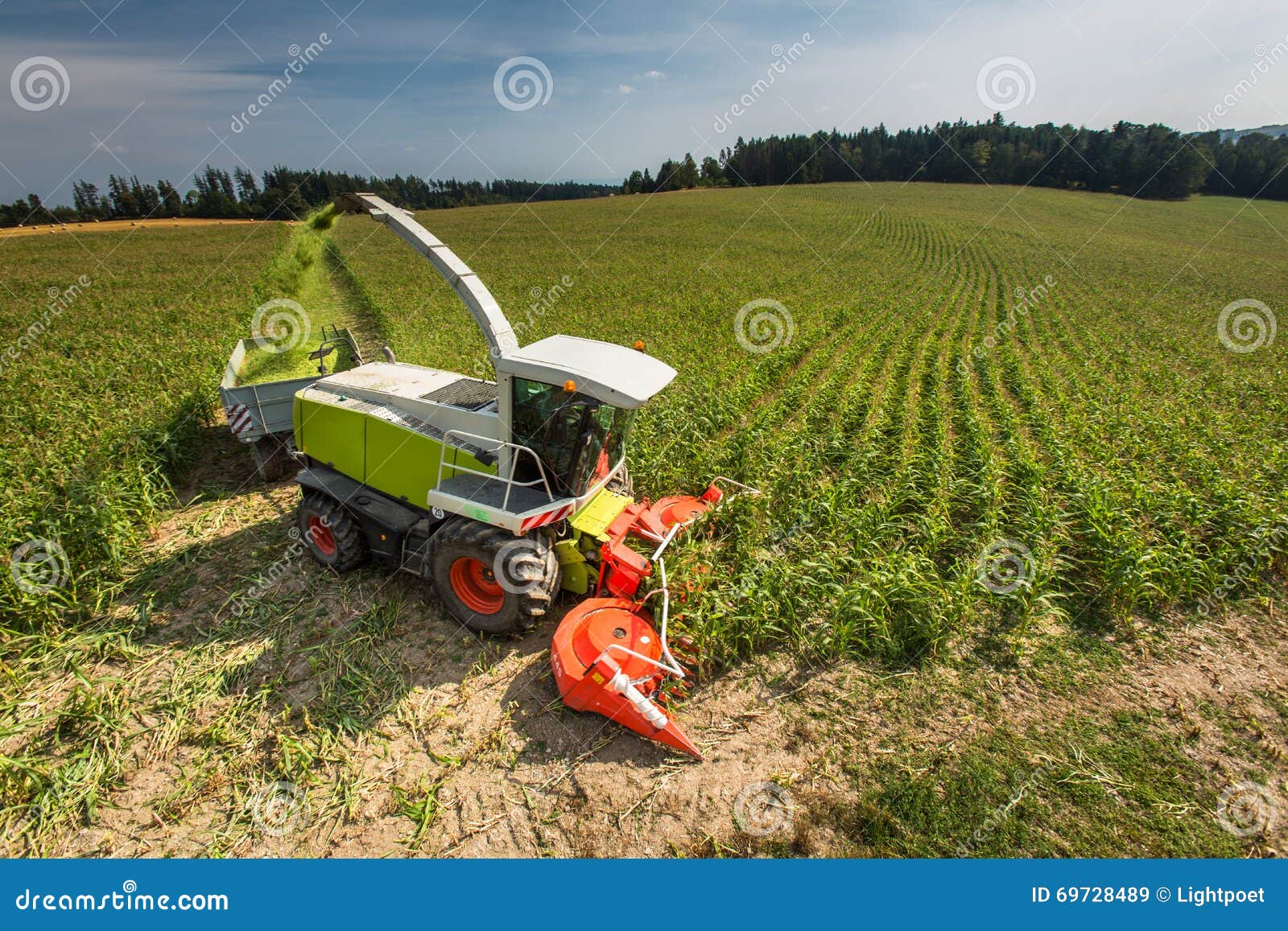 Modern Combine Harvester Unloading Green Corn Stock Image - Image of ...